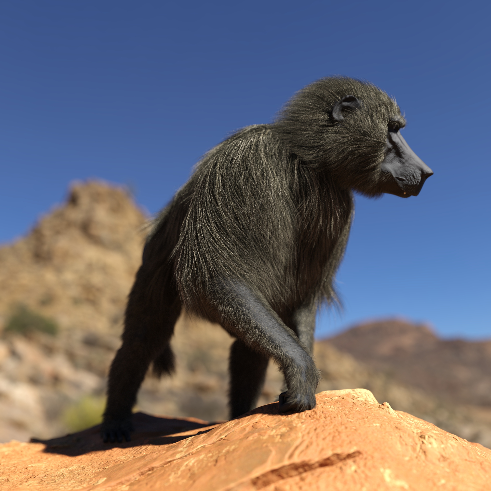 Baboon by AM for Genesis 8 Male | Daz 3D