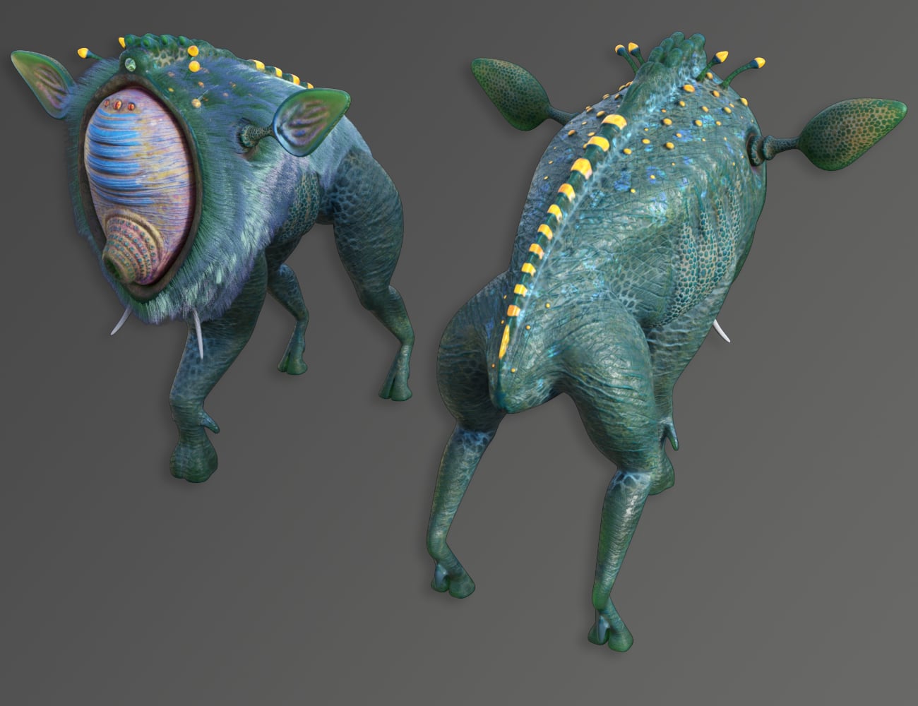 Animal Roh | Daz 3D