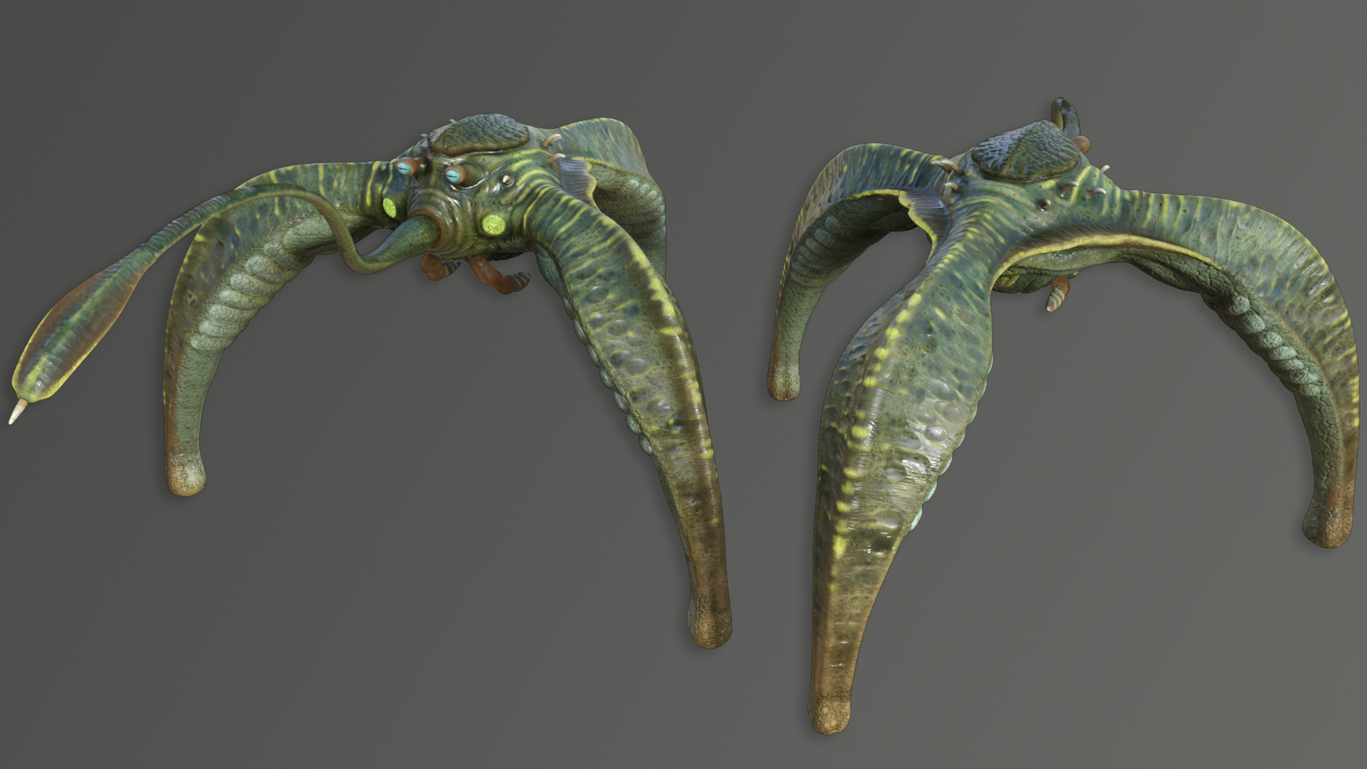 Animal Jabo | Daz 3D