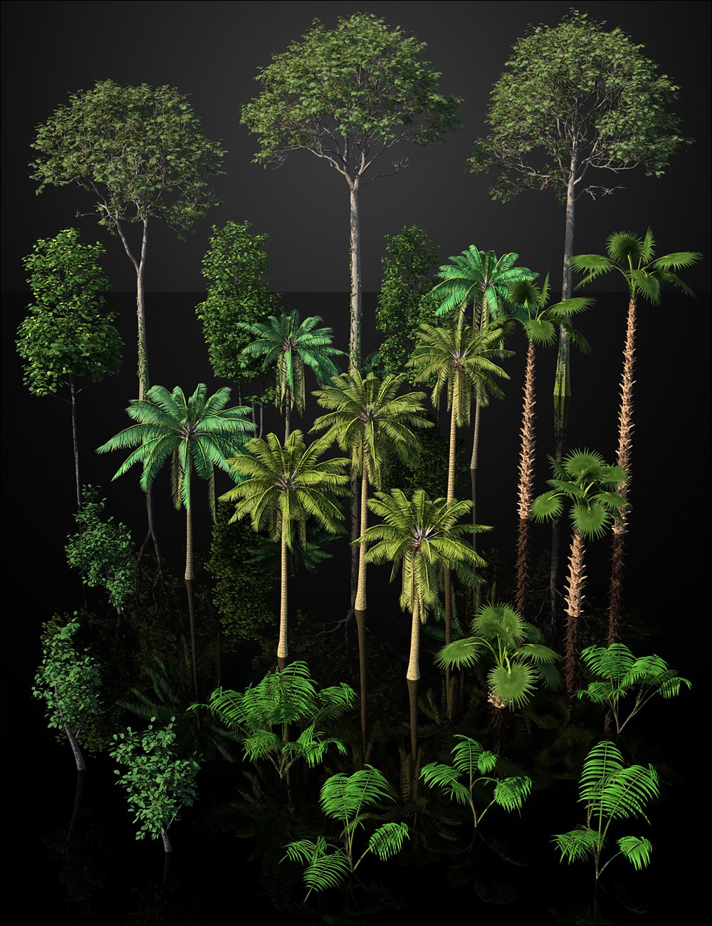 Tropical Botanica - Trees and Shrubs | Daz 3D