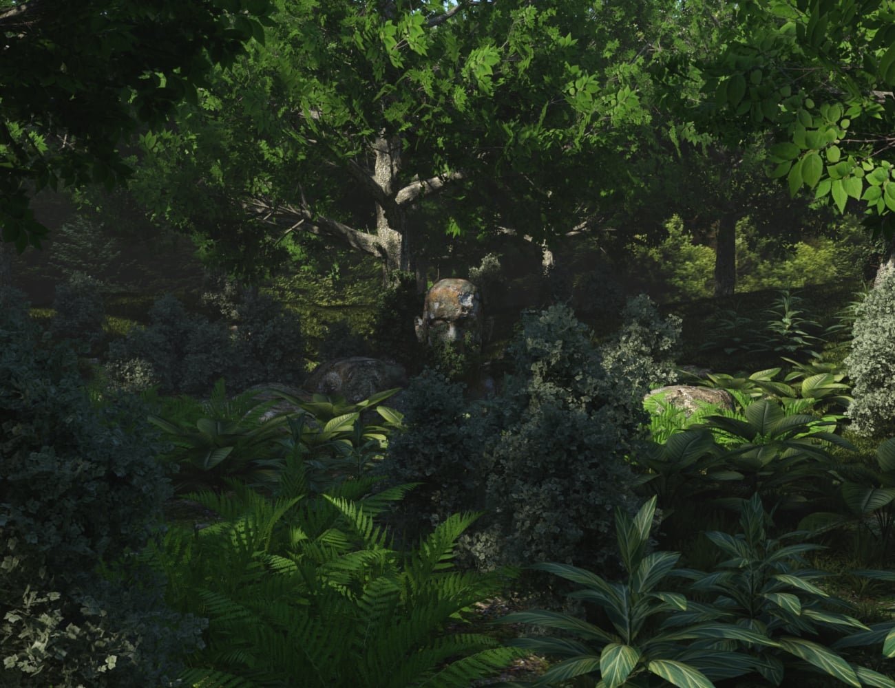 My Jungle | Daz 3D