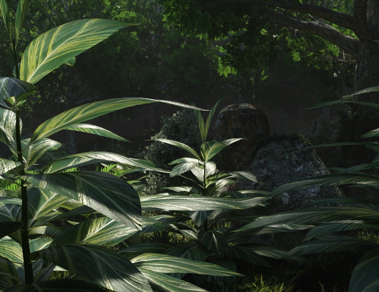 My Jungle | Daz 3D