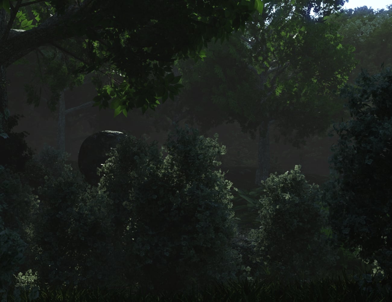 My Jungle | Daz 3D