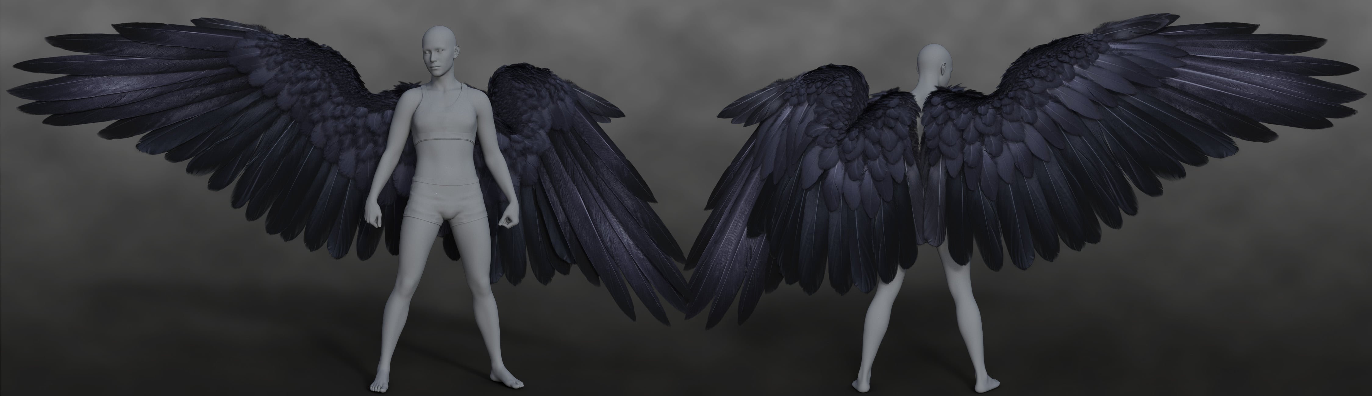 Crow's Wings | Daz 3D