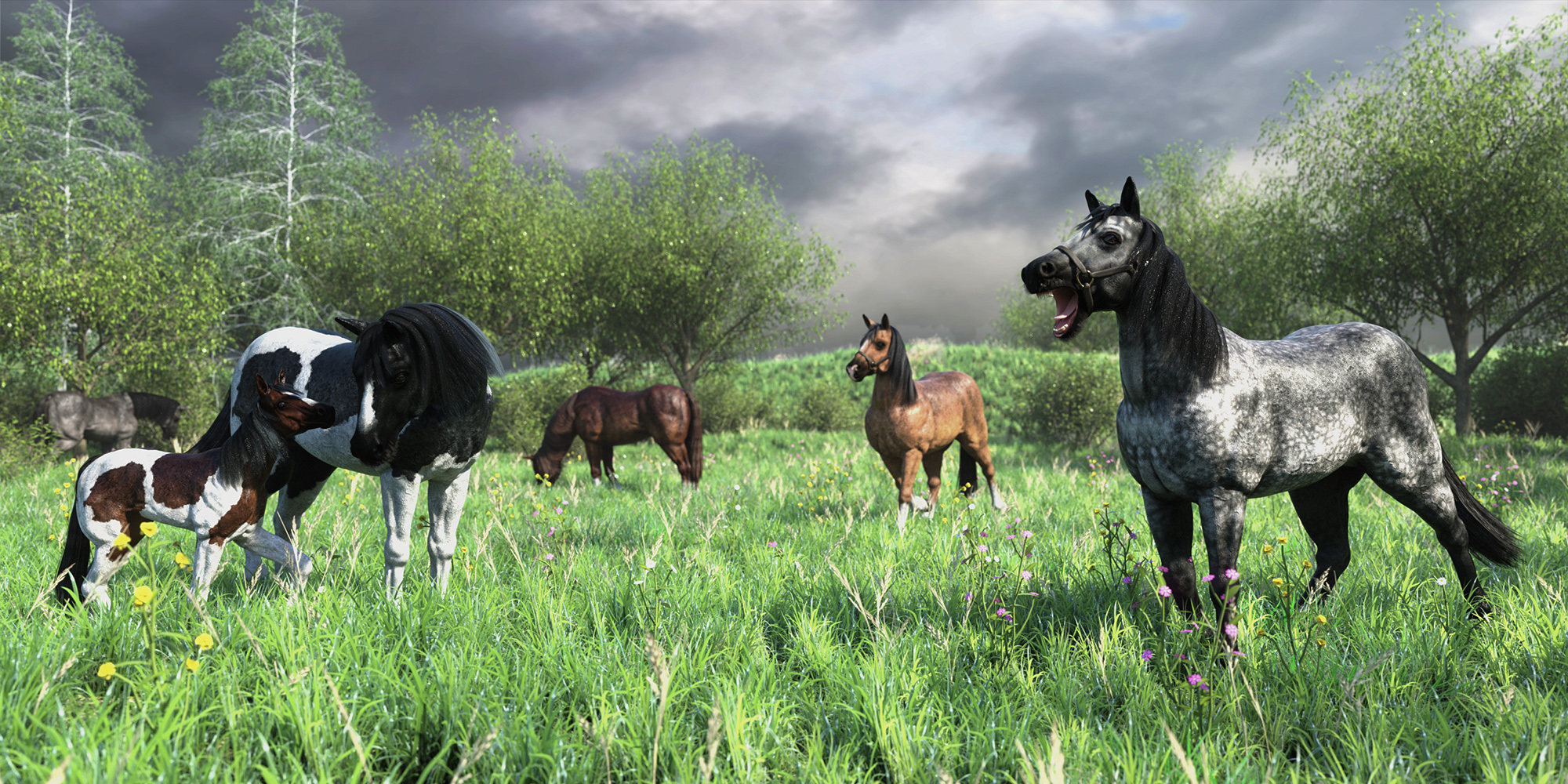 LoREZ Horse 2 Textures | Daz 3D