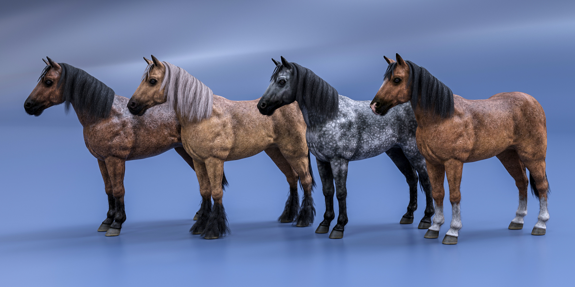 LoREZ Horse 2 Textures | Daz 3D