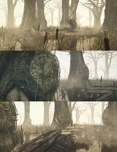 The Misty Swamp | Daz 3D