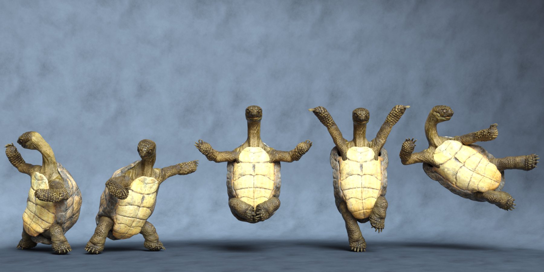 Master Turtle Hierarchical Poses for Storybook Turtle | Daz 3D