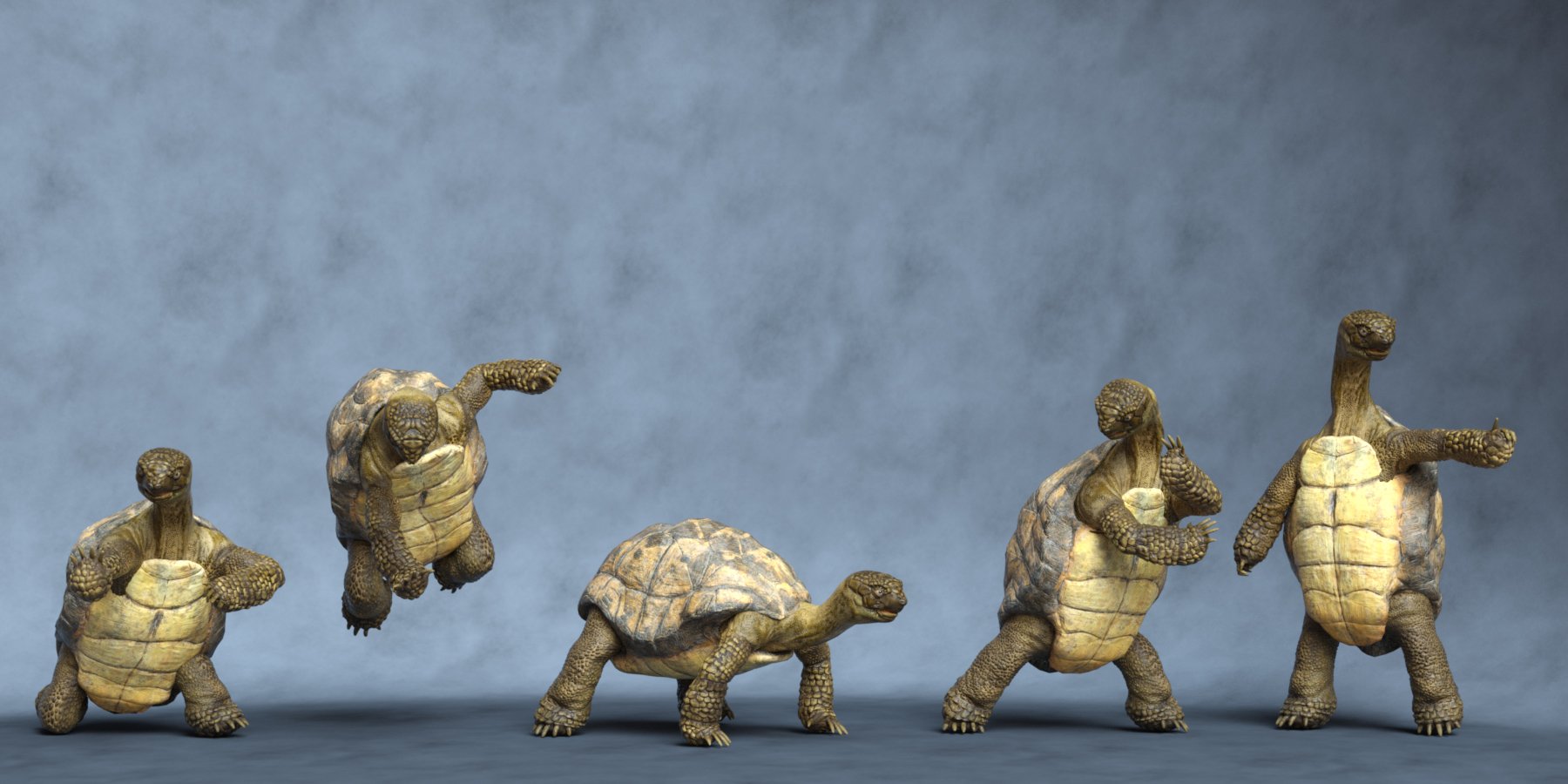 Master Turtle Hierarchical Poses for Storybook Turtle | Daz 3D