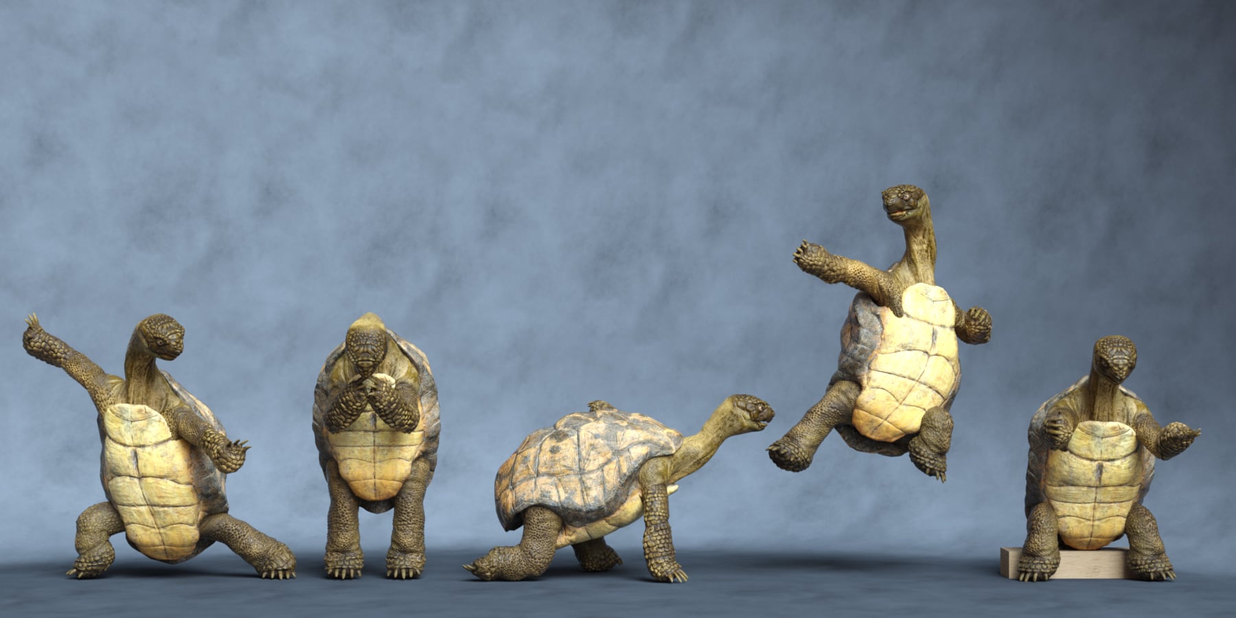Master Turtle Hierarchical Poses for Storybook Turtle | Daz 3D