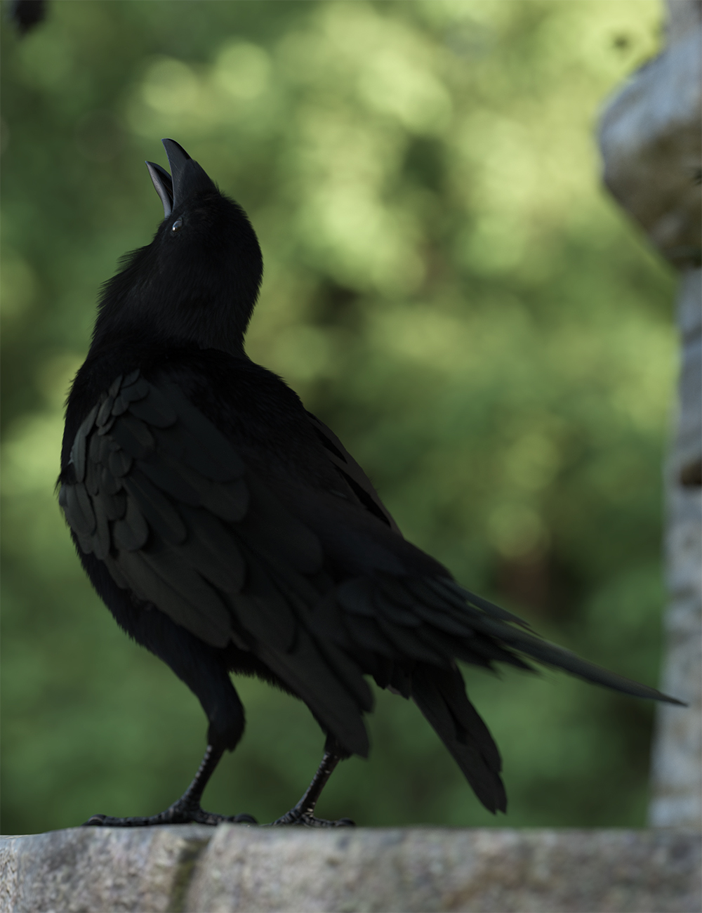Crow 8.1 Familiar Fates Bundle | Daz 3D
