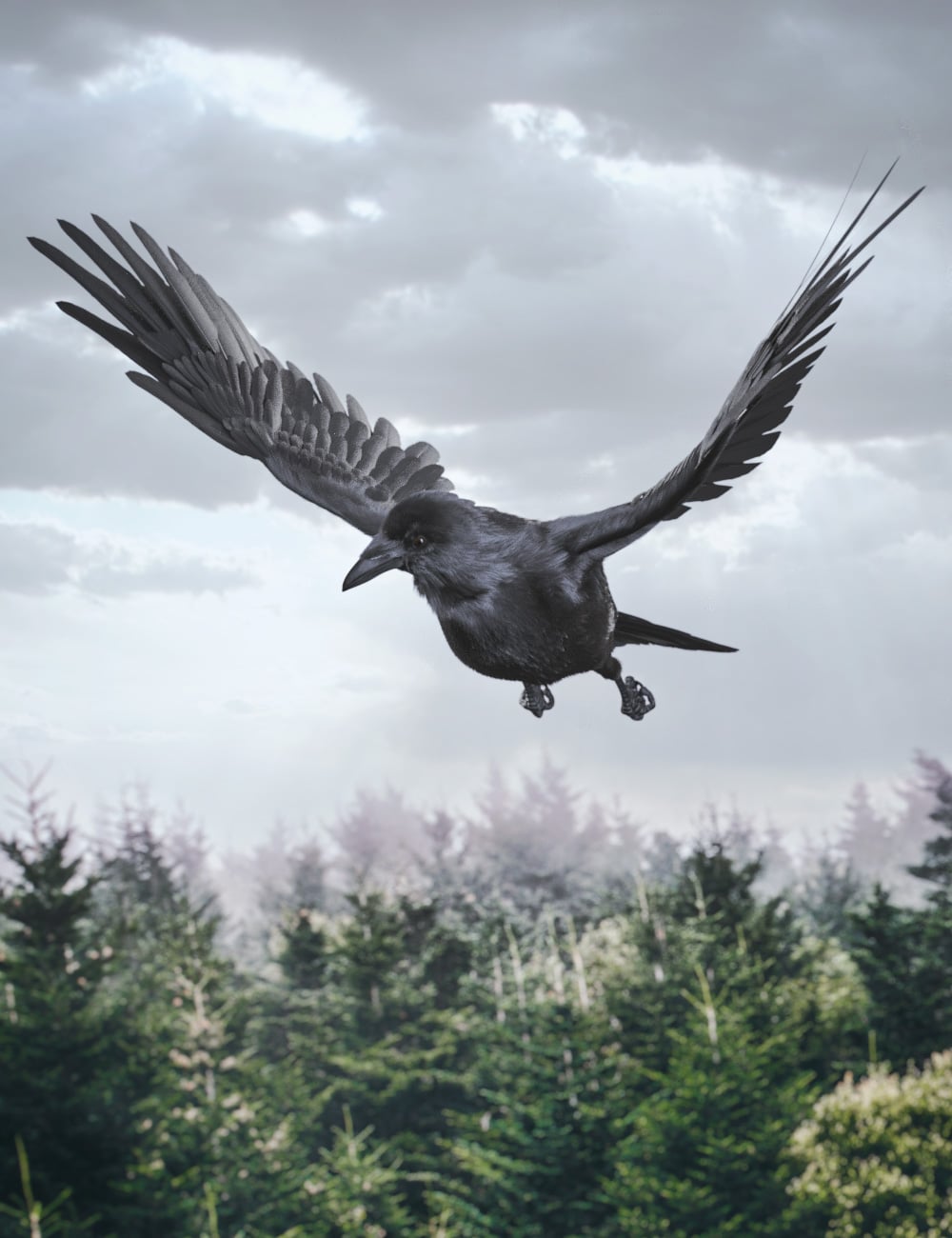 Crow 8.1 Mega Bundle | Daz 3D