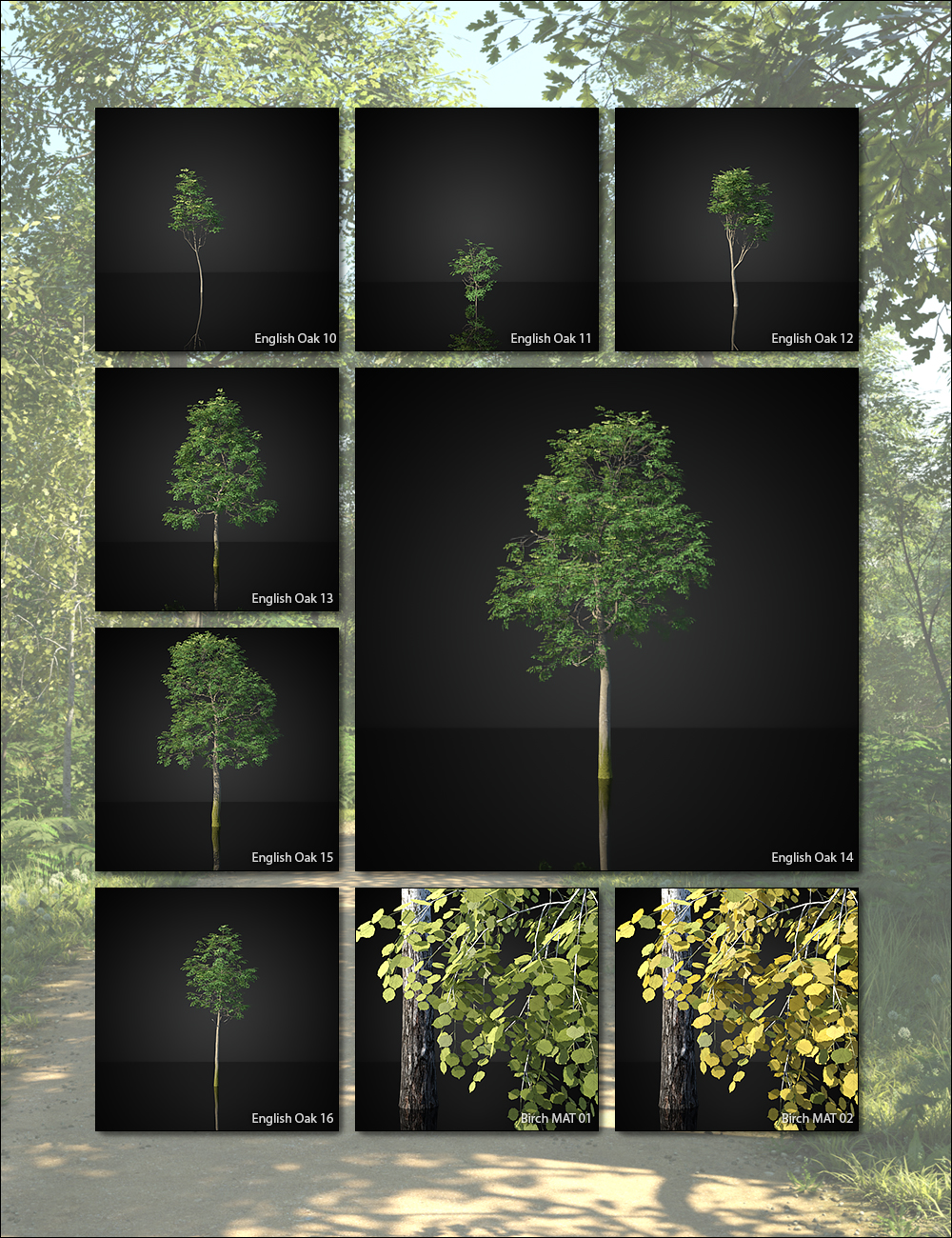 Britain Botanica - Trees and Shrubs | Daz 3D