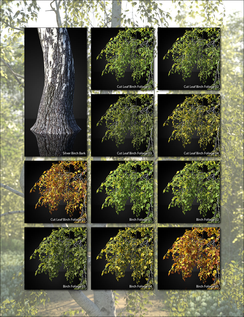 UltraTrees - Arboretum Volume 2 | Daz 3D