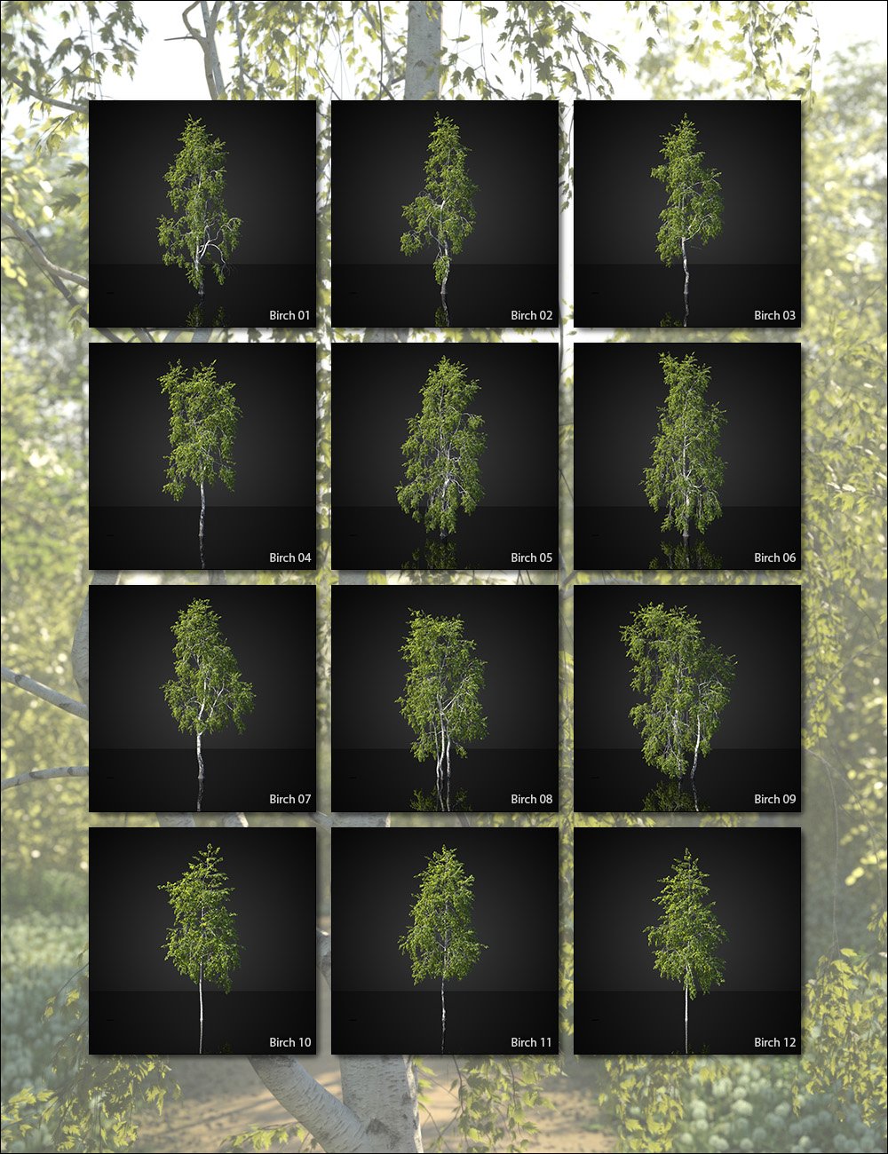 UltraTrees - Arboretum Volume 2 | Daz 3D