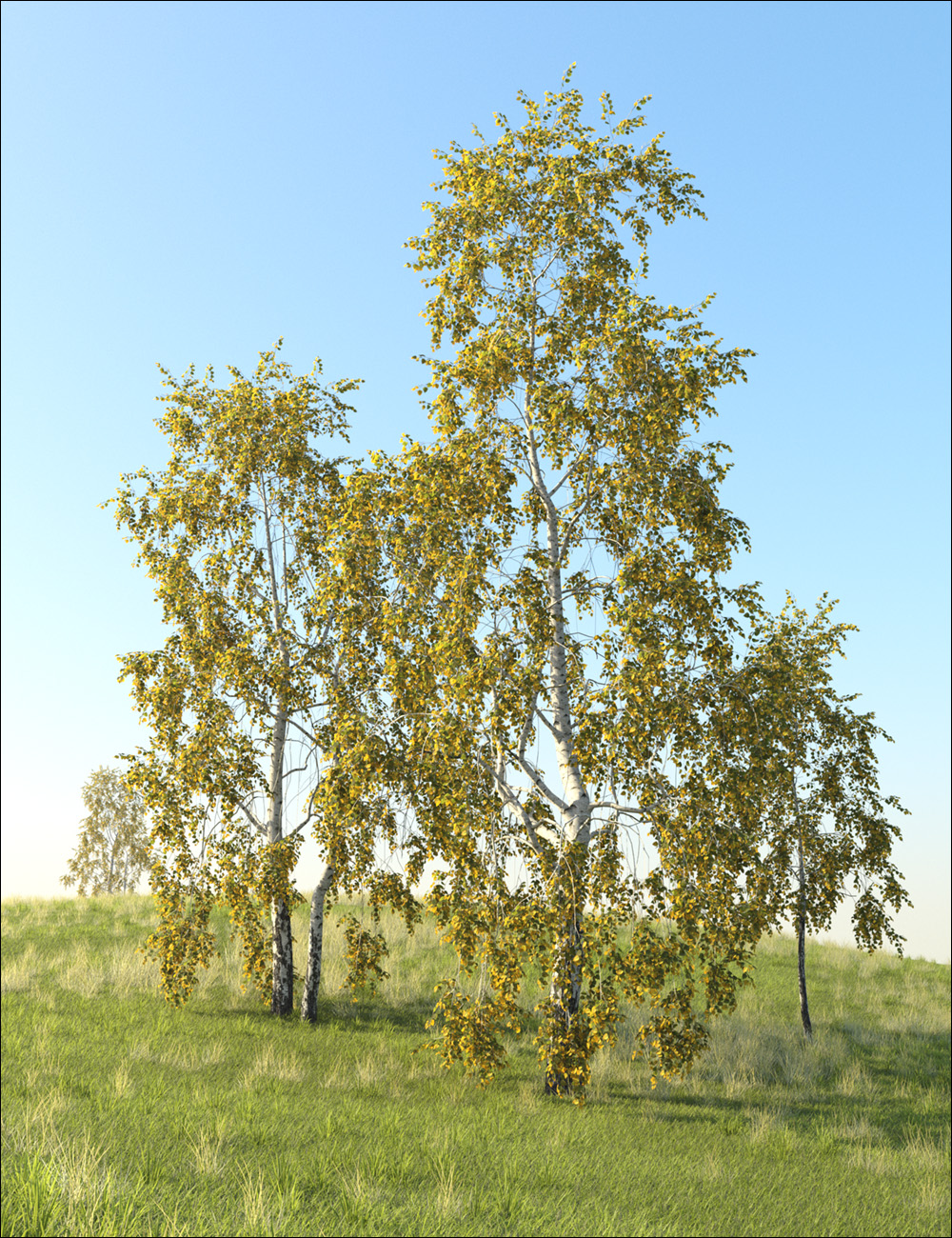 UltraTrees - Arboretum Volume 2 | Daz 3D