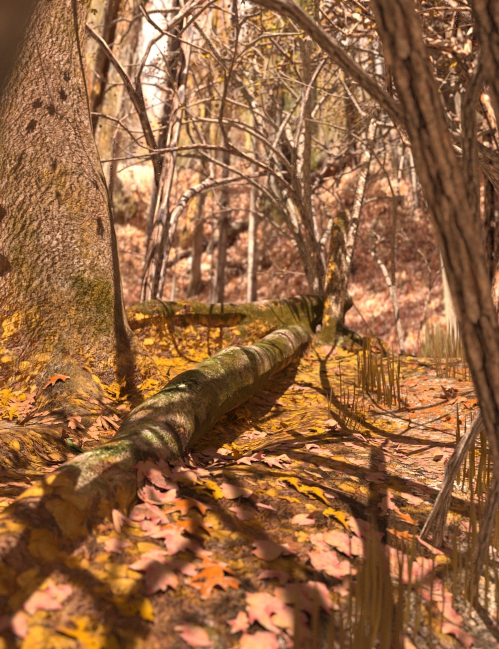 Fall Woods Vignette HD Scene | Daz 3D