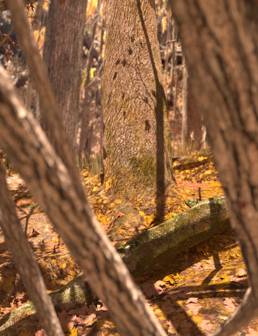 Fall Woods Vignette HD Scene | Daz 3D