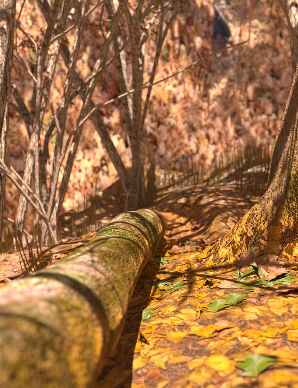 Fall Woods Vignette HD Scene | Daz 3D
