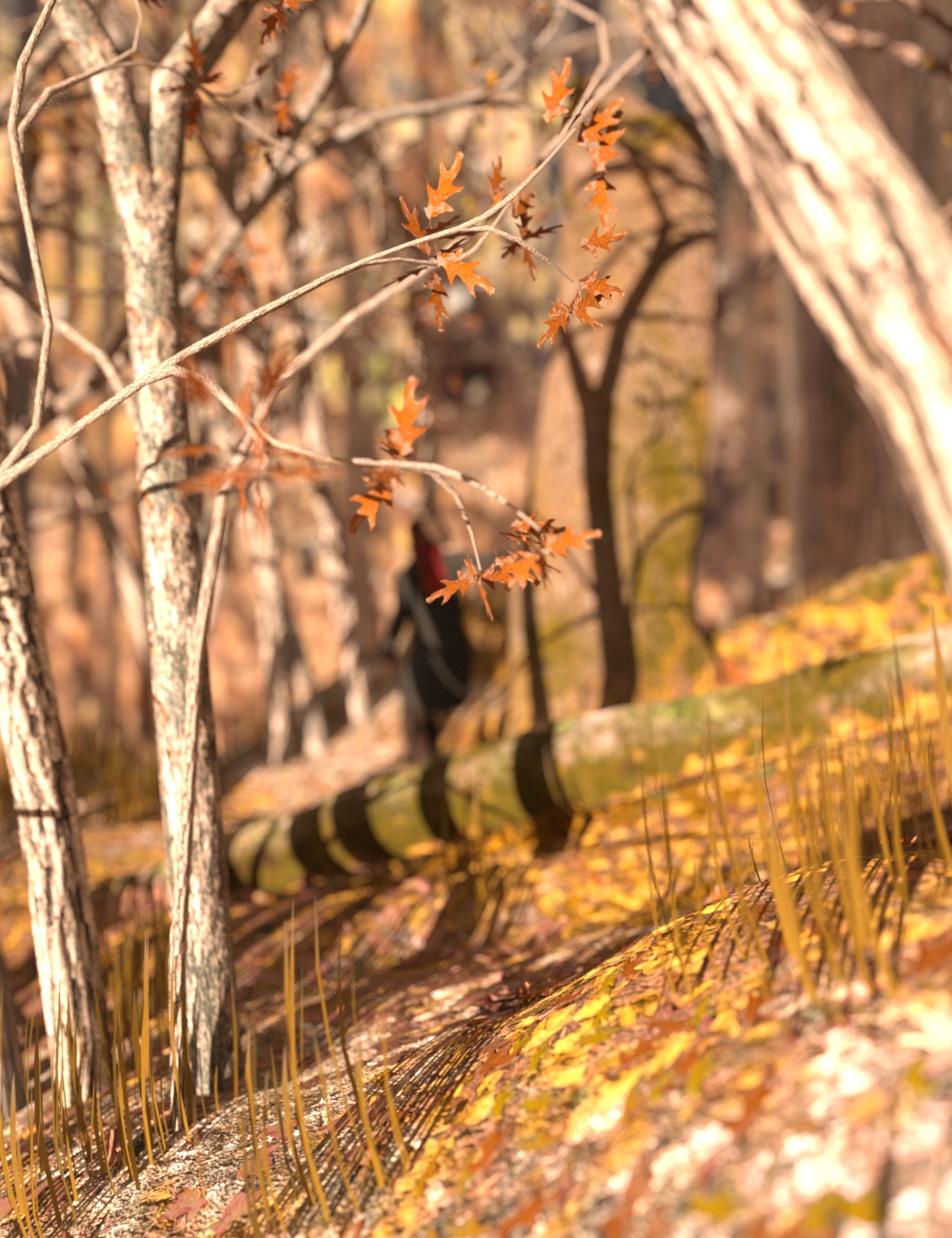 Fall Woods Vignette HD Scene | Daz 3D
