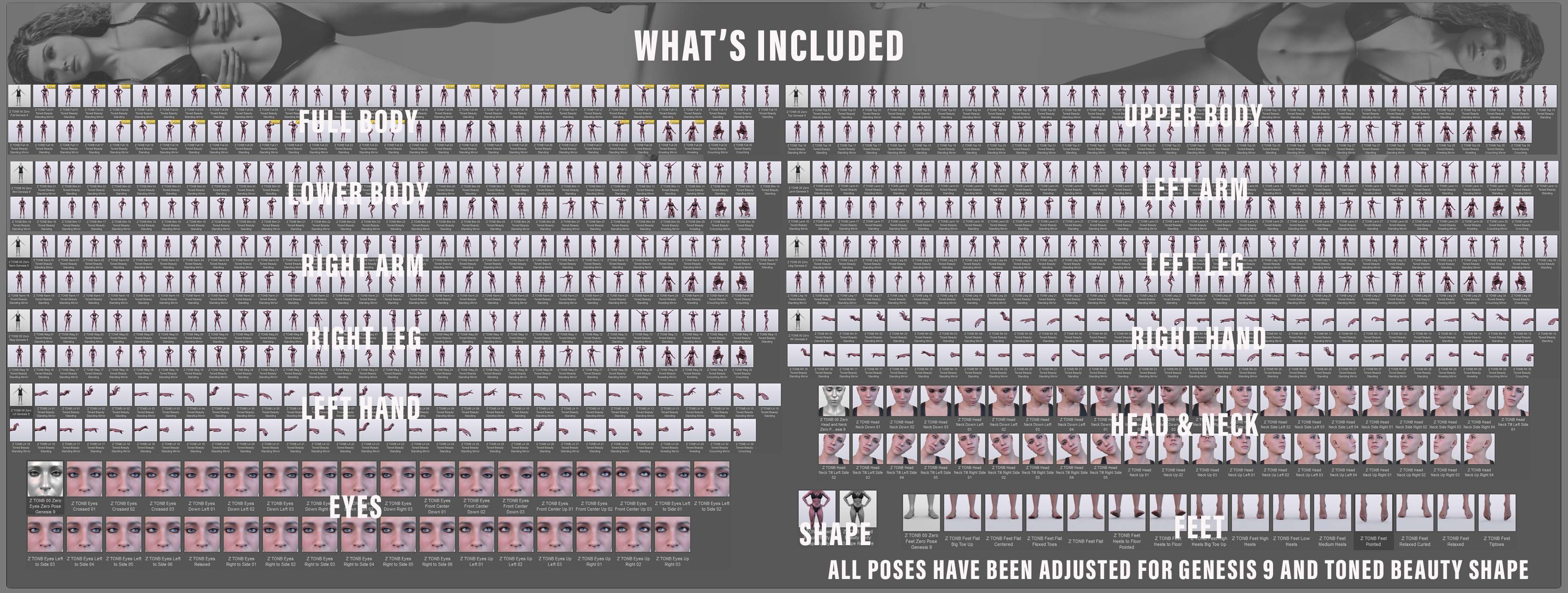 Z Toned Beauty Shape and Pose Mega Set for Genesis 9 | Daz 3D