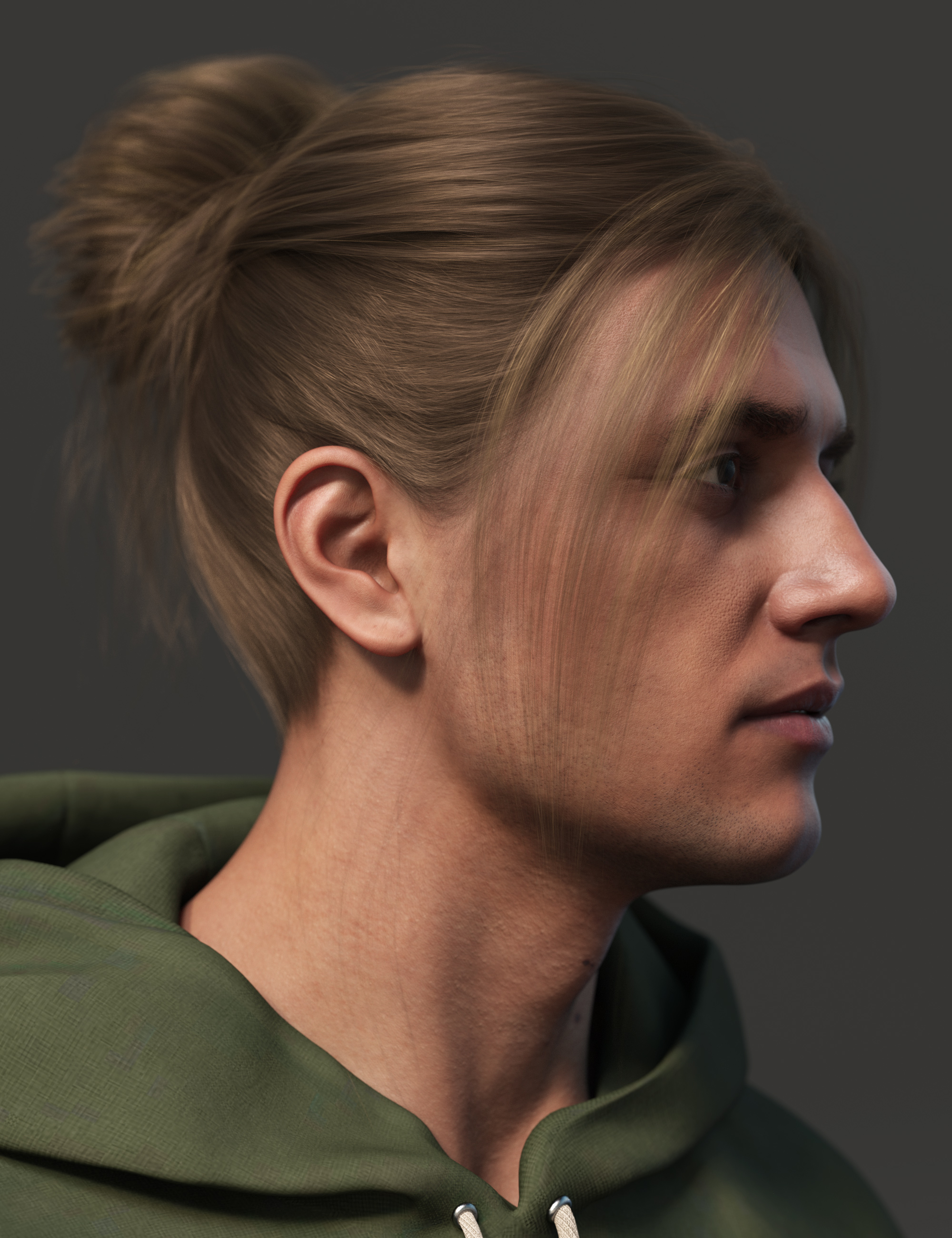 Mega Updo 3 Hair Color Expansion | Daz 3D