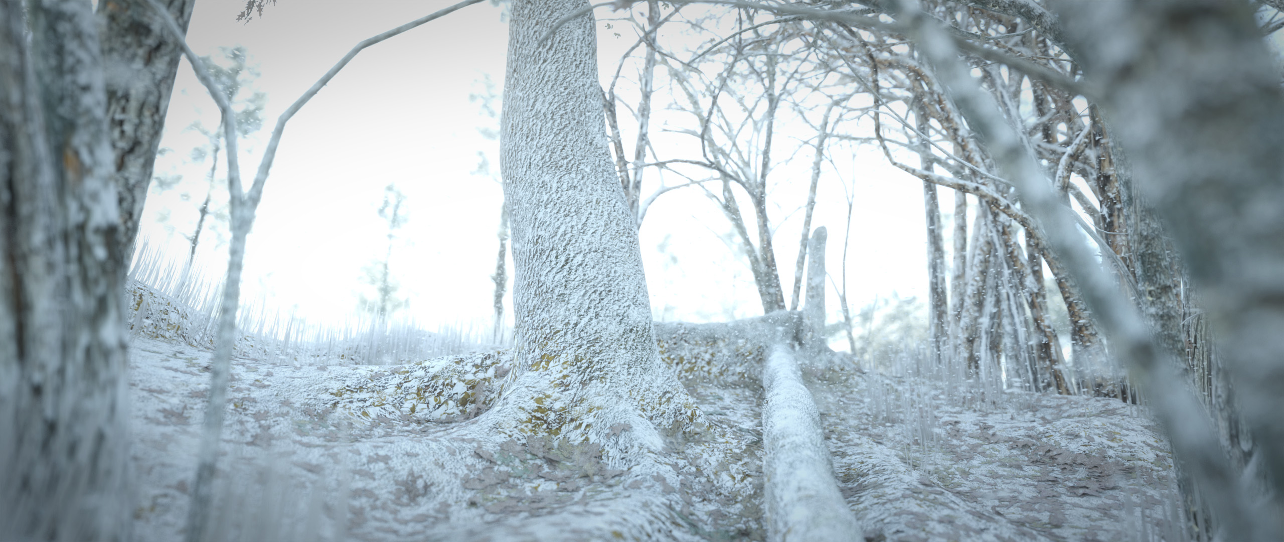 Fall Woods Vignette Winter Add-On | Daz 3D