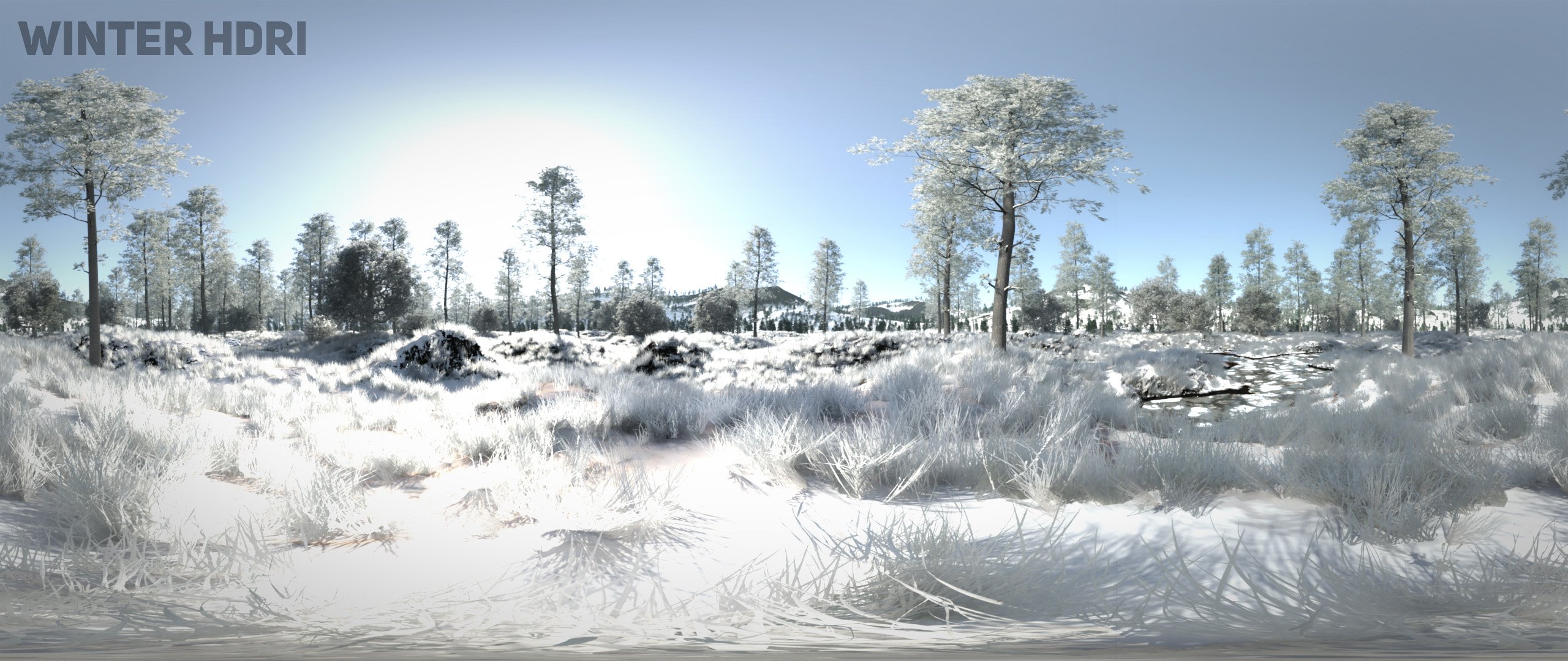 Fall Woods Vignette Winter Add-On | Daz 3D