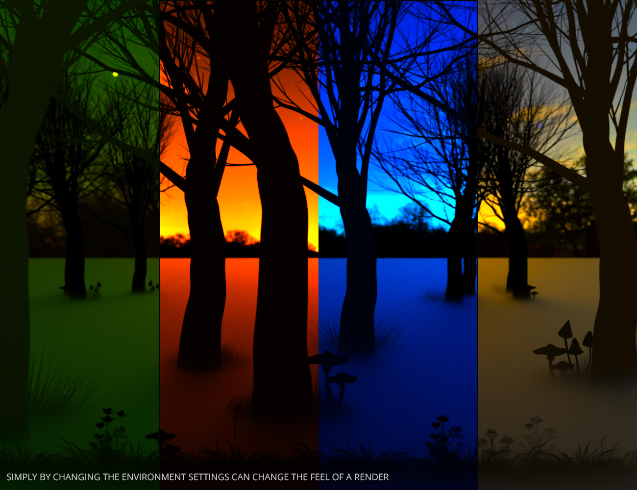 Lightbox Builder | Daz 3D