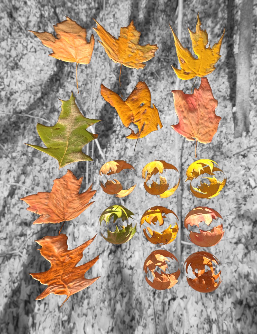 Fall Wood Textures Resources | Daz 3D