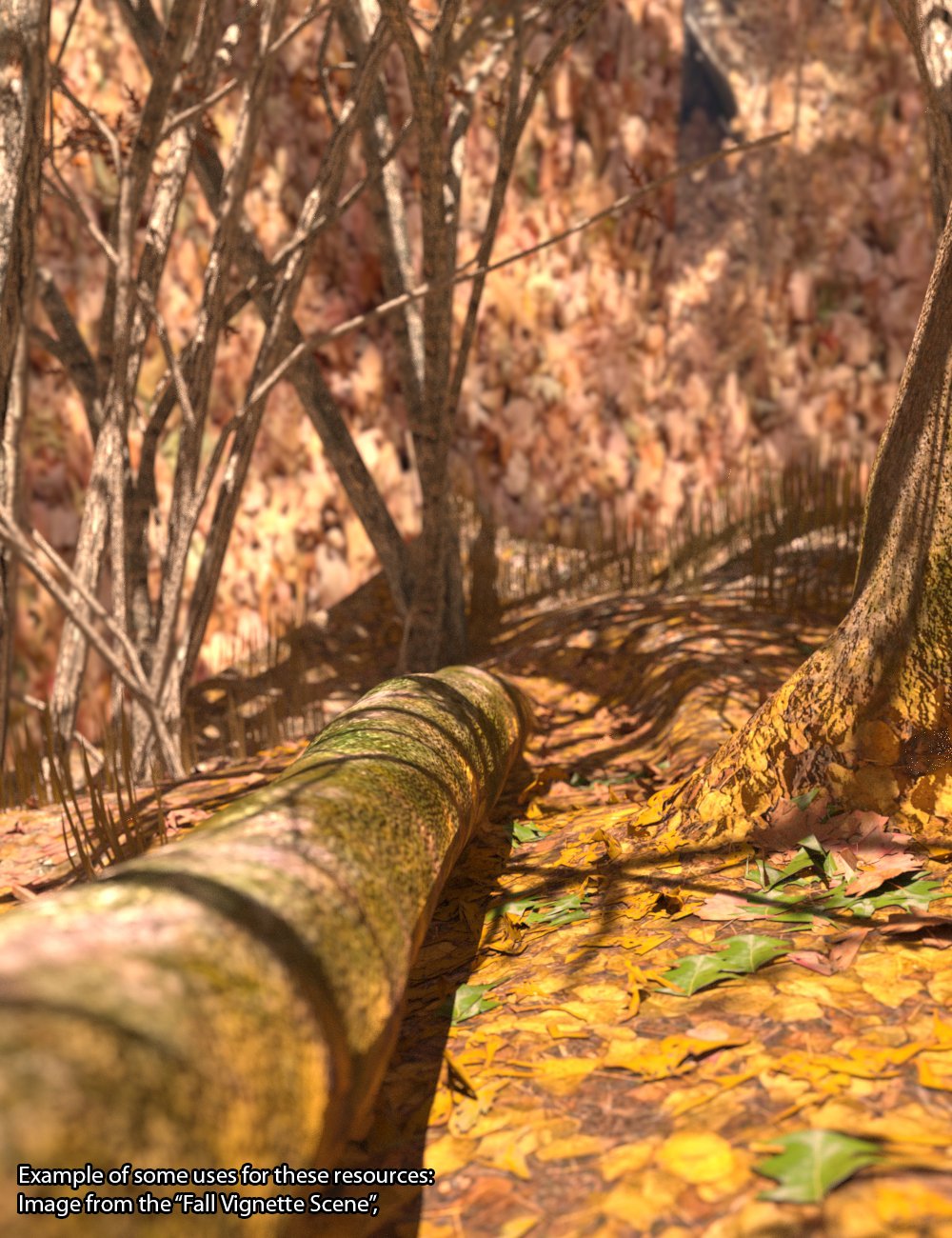 Fall Wood Textures Resources | Daz 3D
