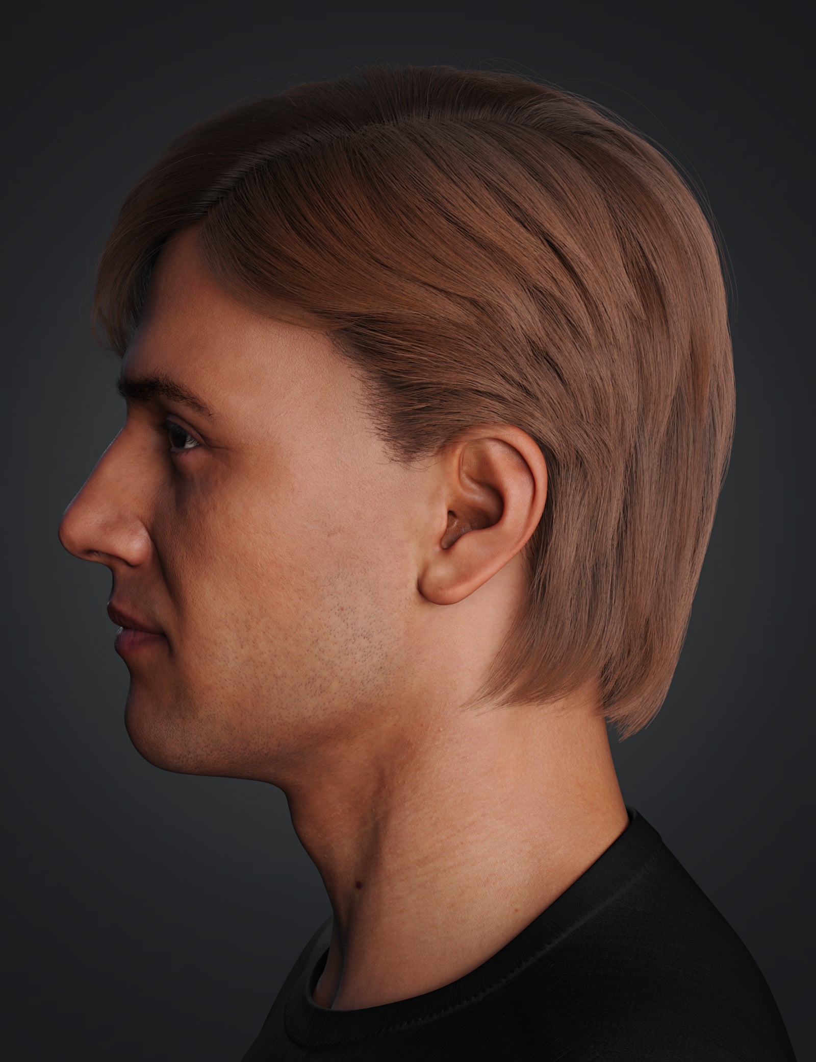 Inga Hair for Genesis 9 | Daz 3D