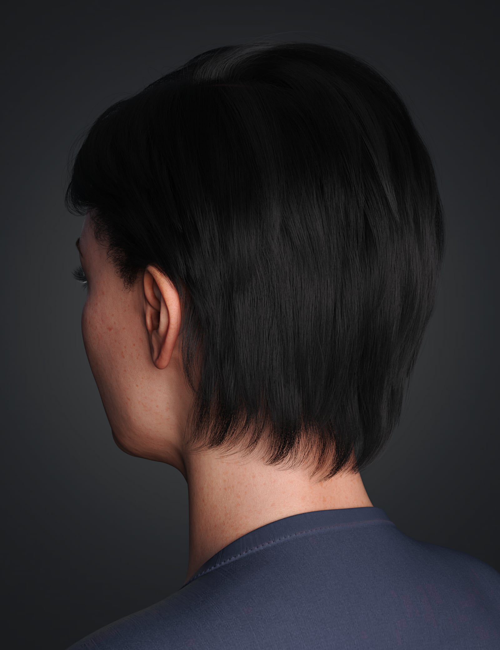 Inga Hair for Genesis 9 | Daz 3D