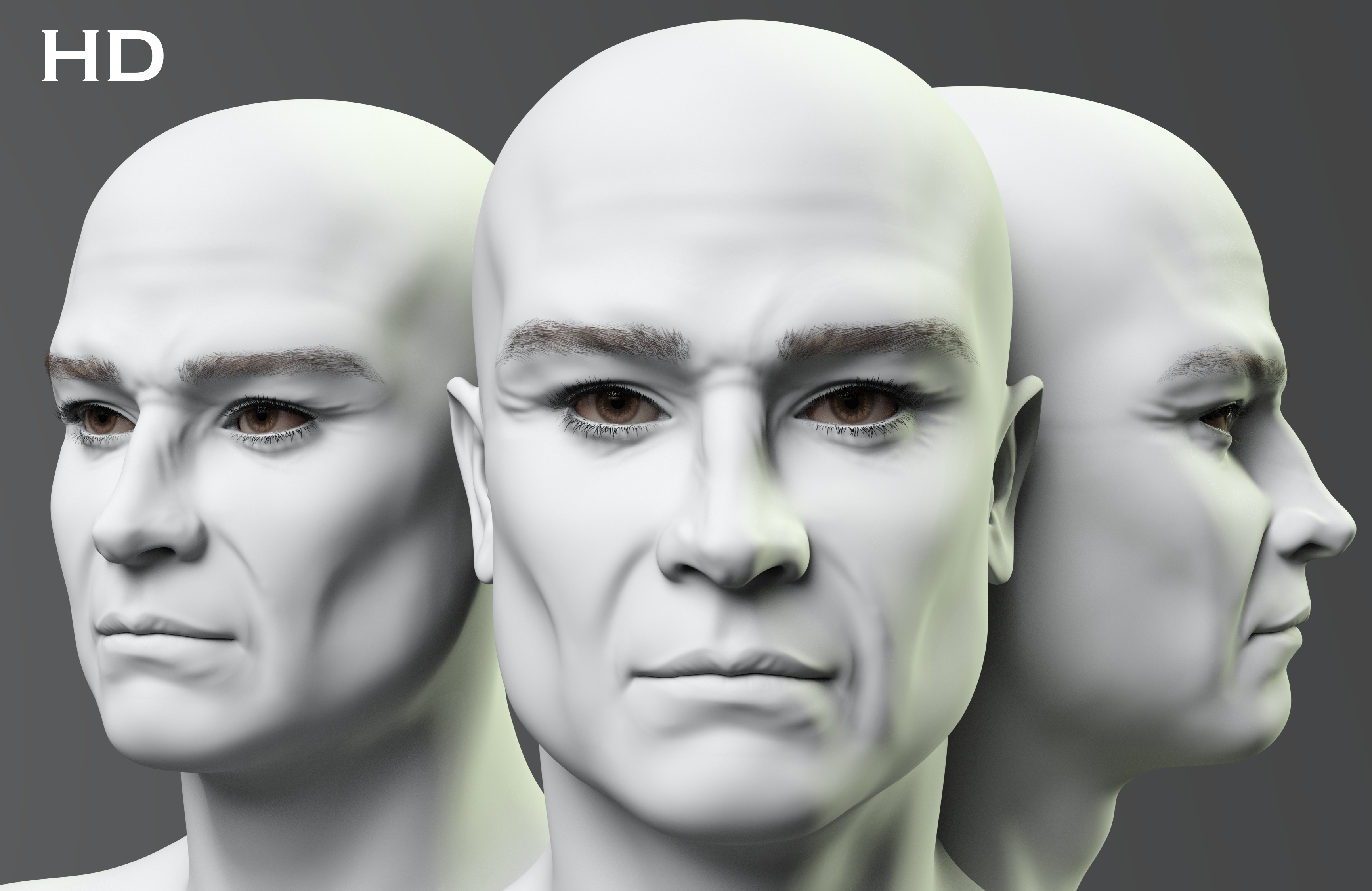Ivar 9 Kinship Alternate Face Morphs | Daz 3D