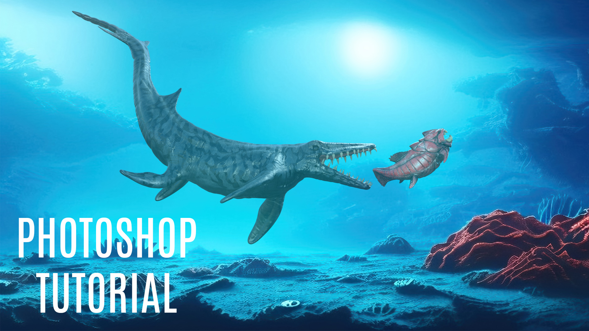 Sea Creatures Bundle | Daz 3D