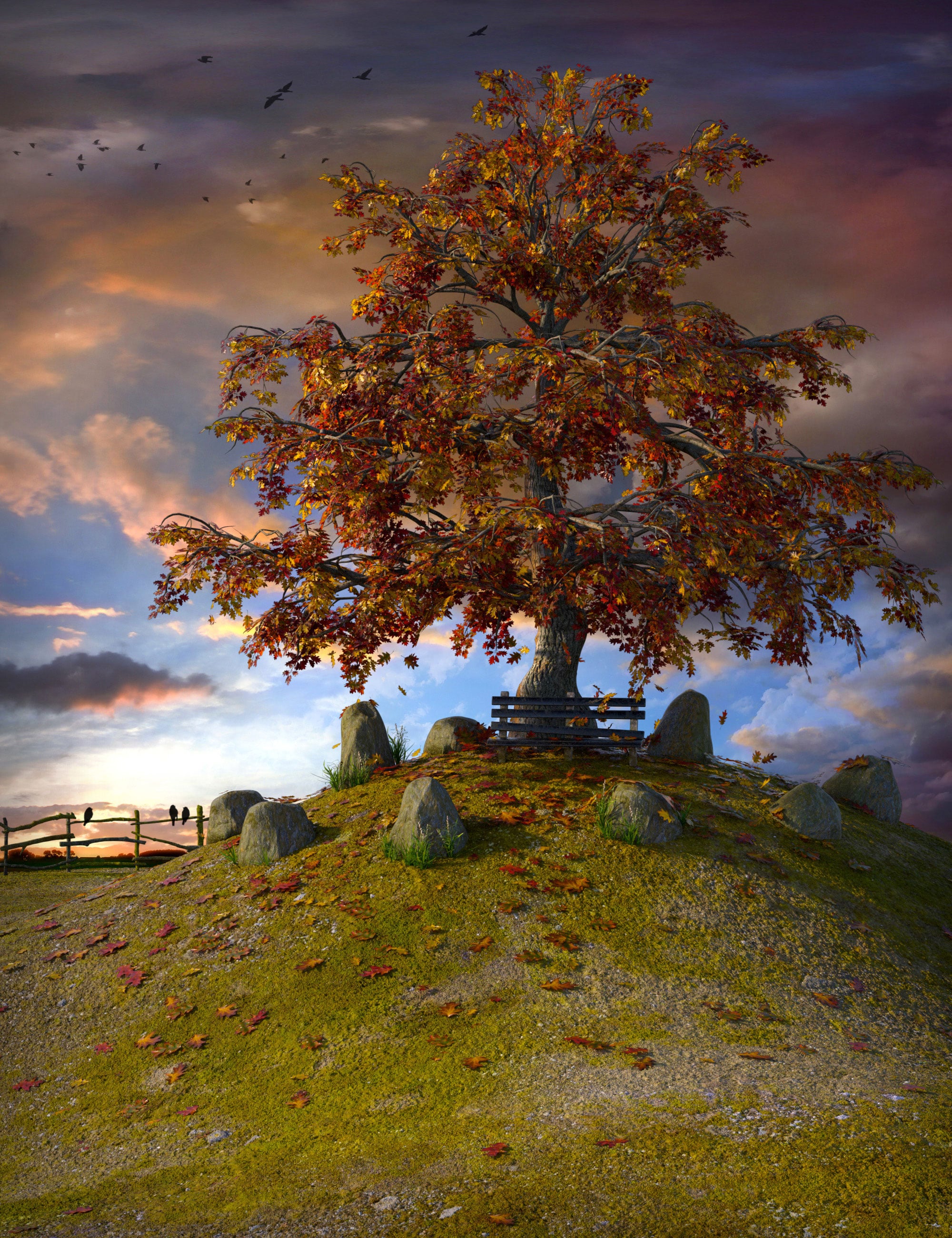 Red Oak Tree with dForce Leaves | Daz 3D