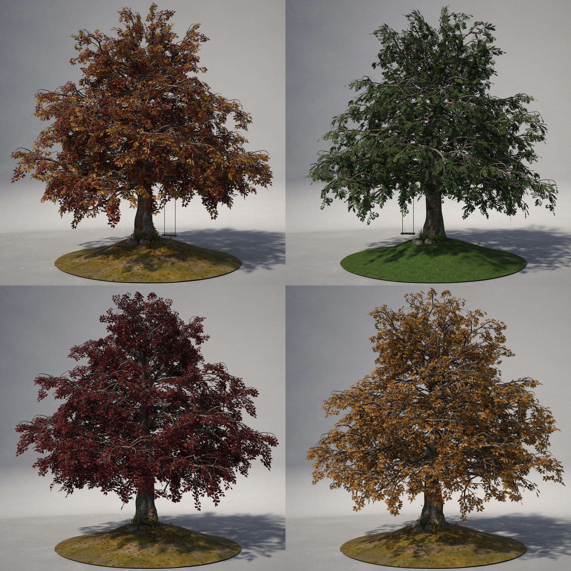 Red Oak Tree with dForce Leaves | Daz 3D