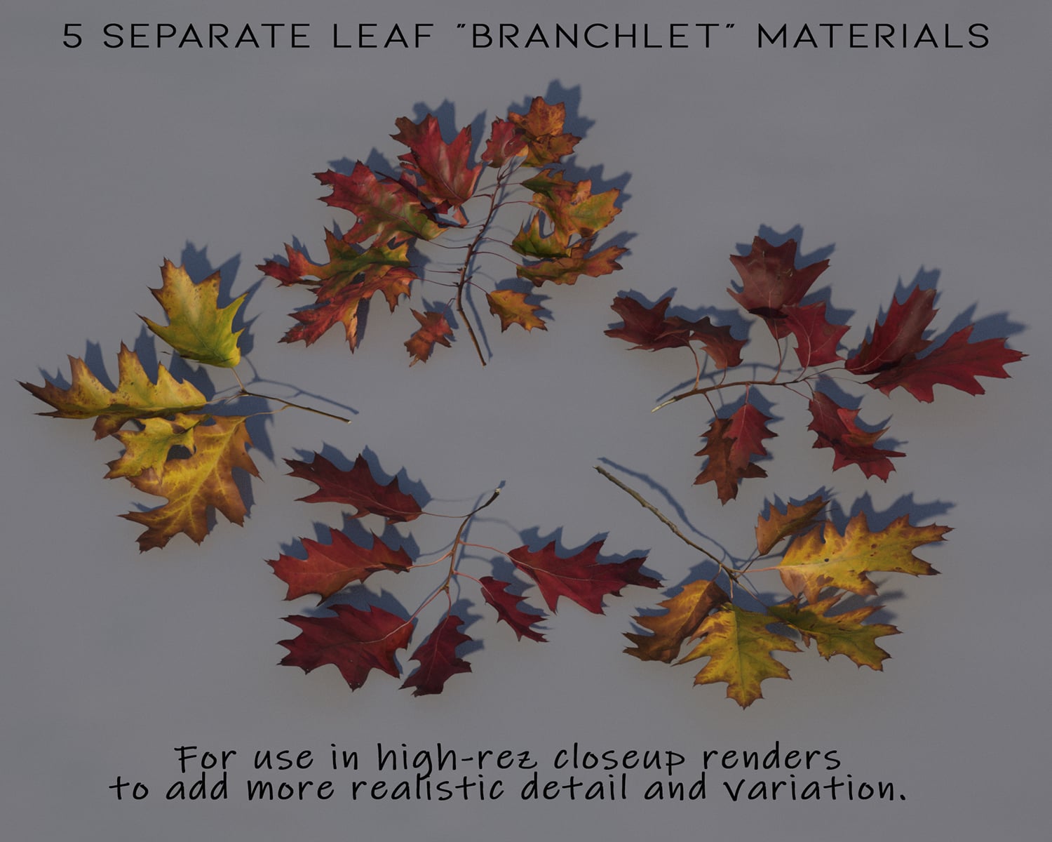 Red Oak Tree with dForce Leaves | Daz 3D