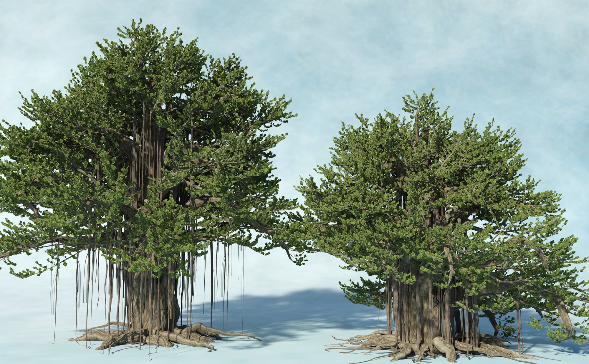 Banyan Trees - High Resolution Plants for Daz Studio | Daz 3D