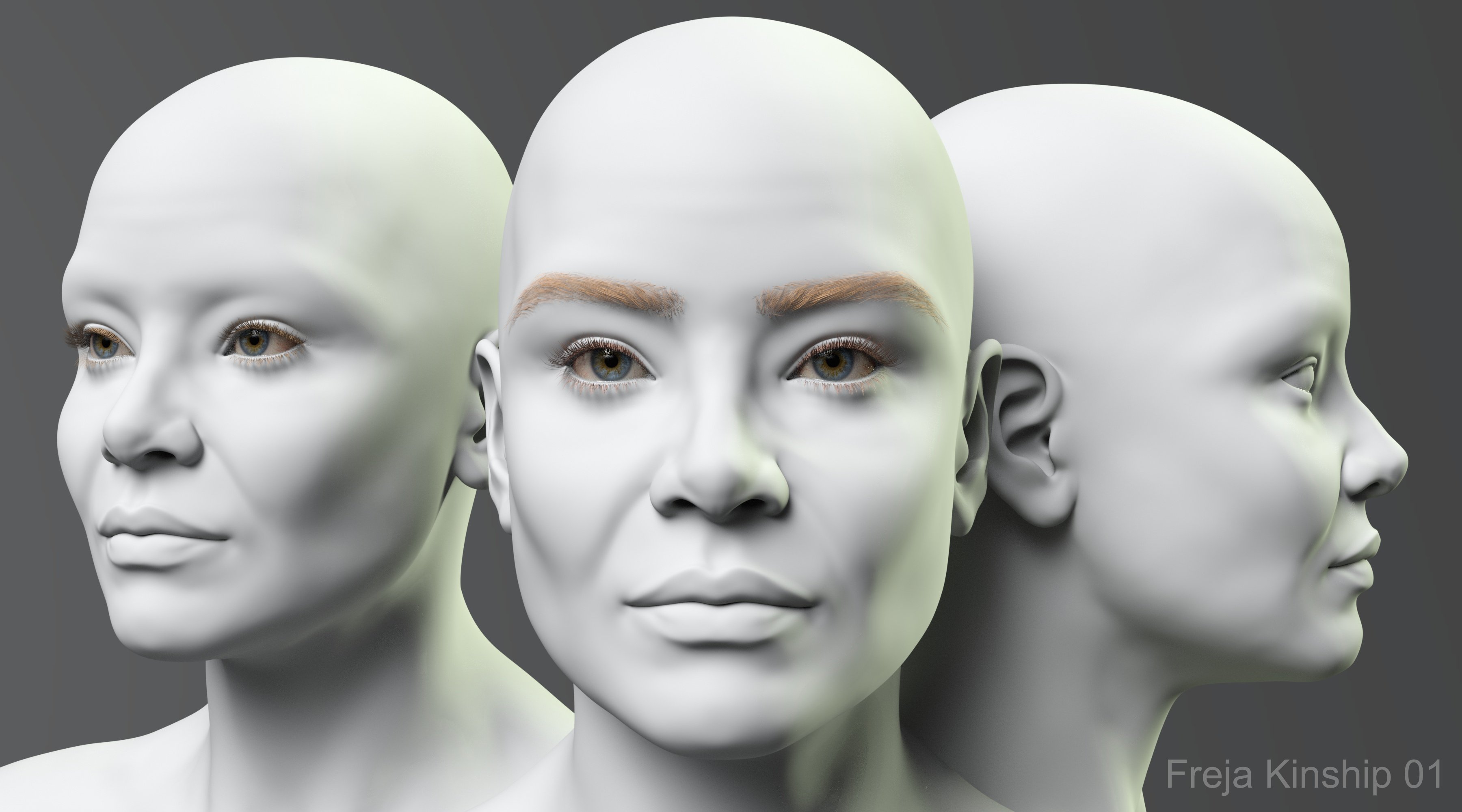 Freja 9 Kinship Alternate Face Morphs | Daz 3D