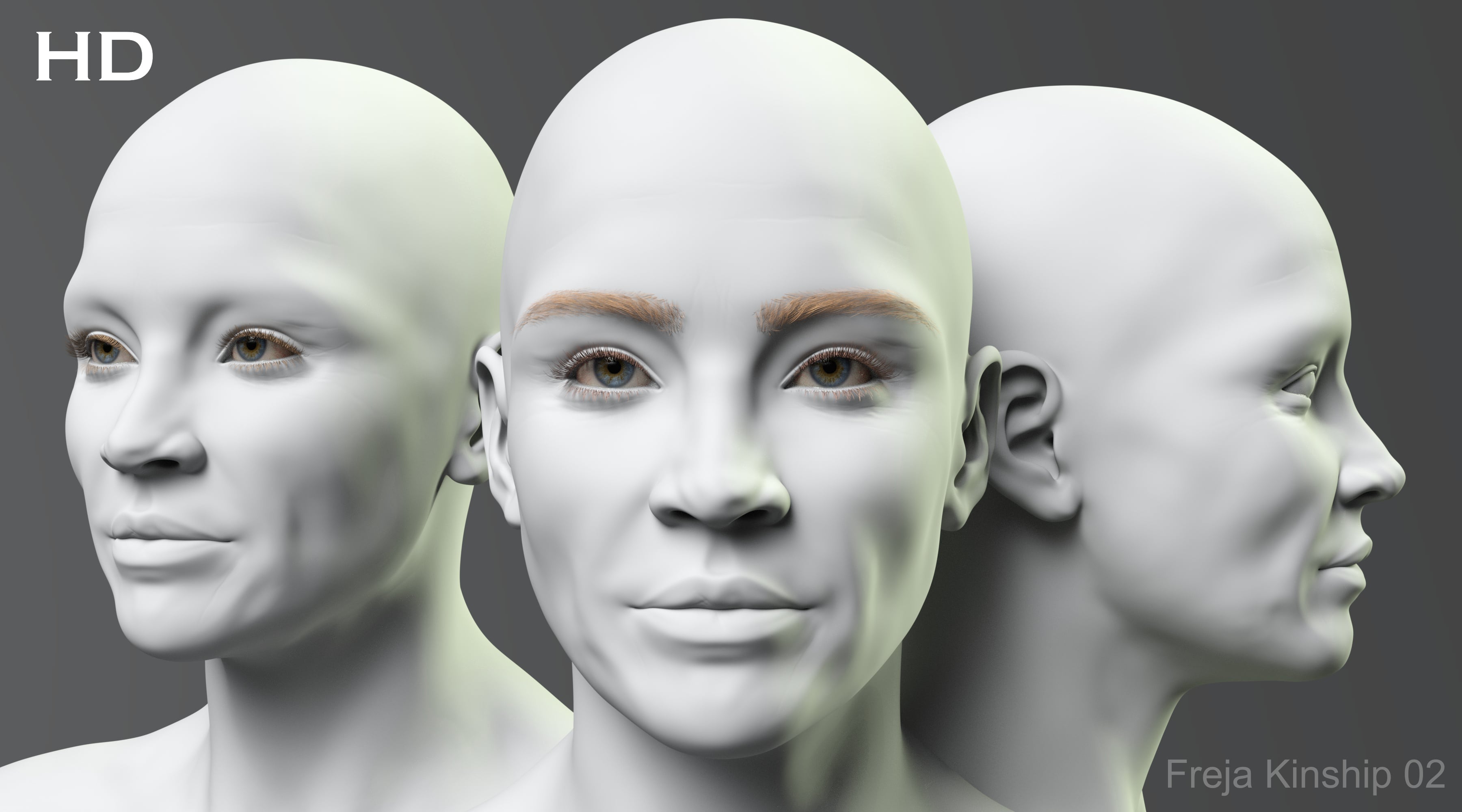 Freja 9 Kinship Alternate Face Morphs | Daz 3D