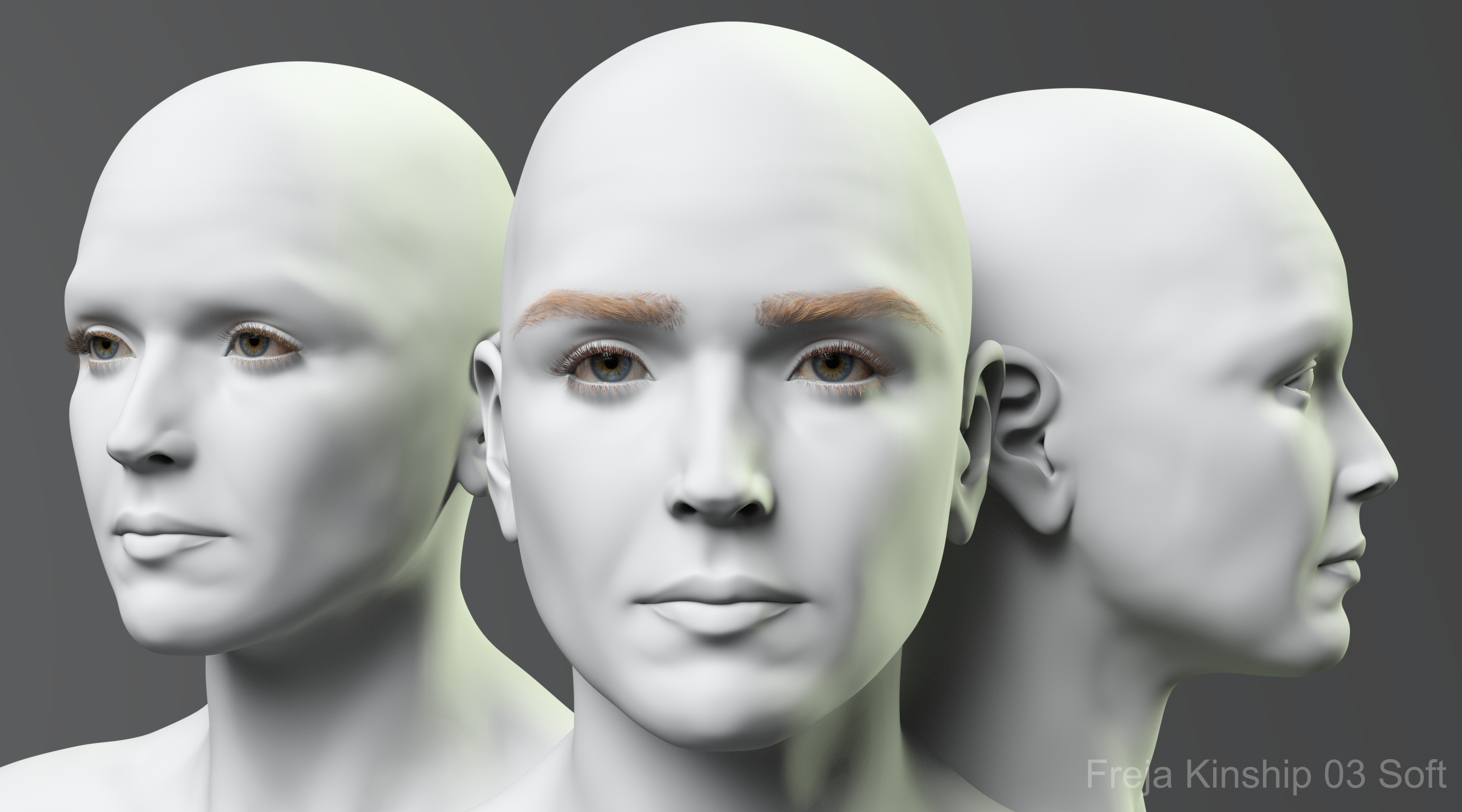 Freja 9 Kinship Alternate Face Morphs | Daz 3D