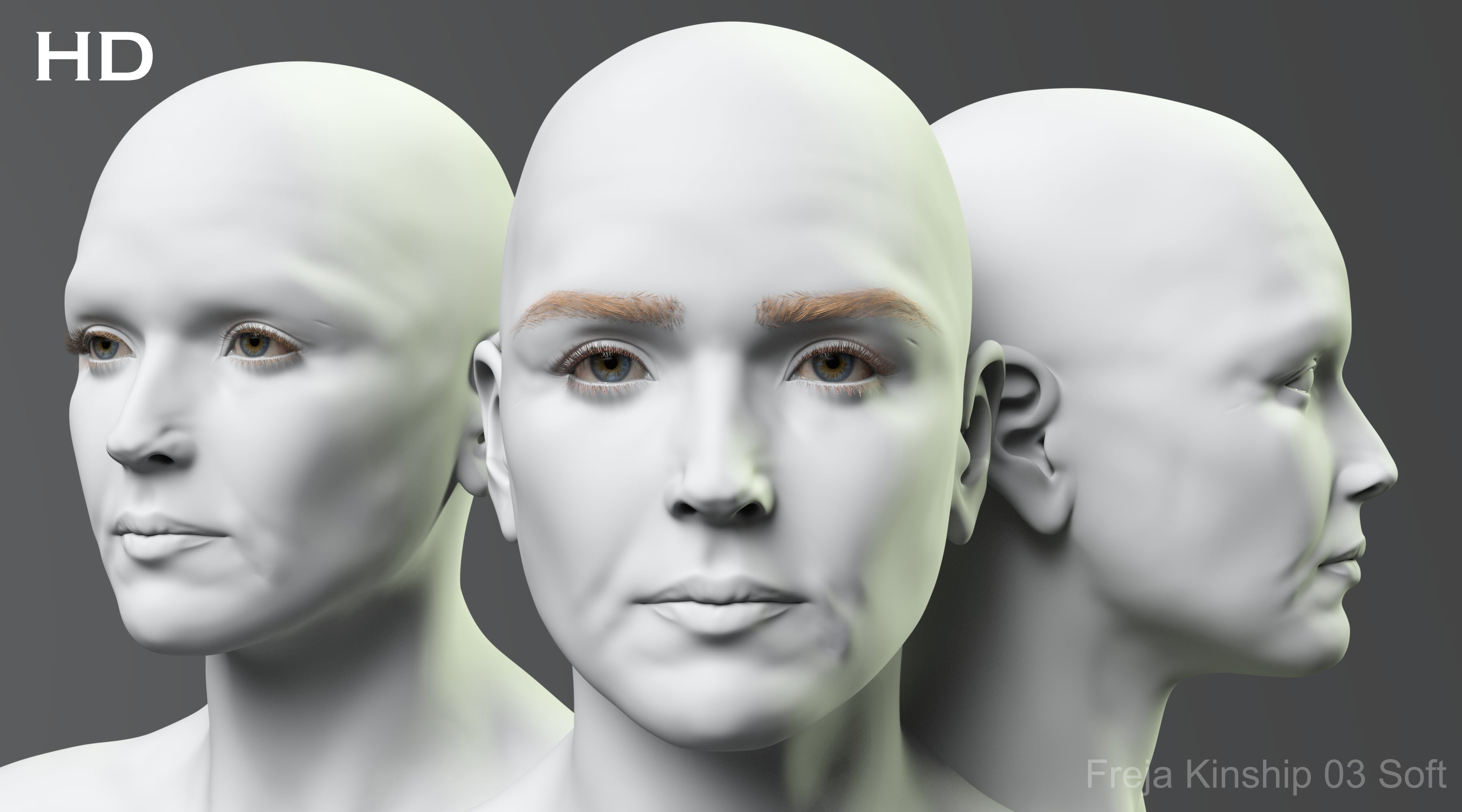 Freja 9 Kinship Alternate Face Morphs | Daz 3D