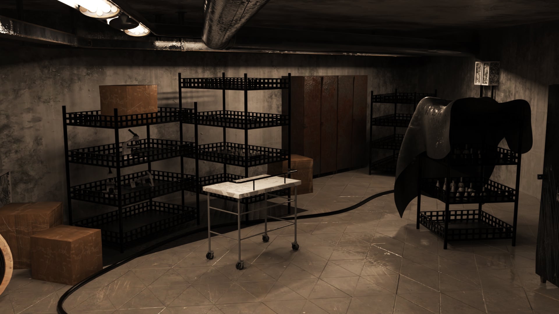 Frozen Stock Room | Daz 3D