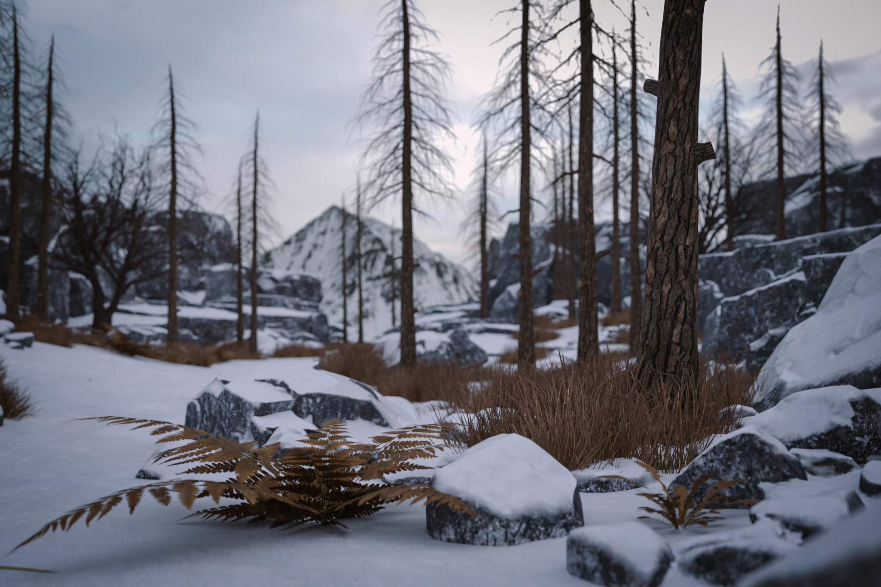 Snowy Land | Daz 3D