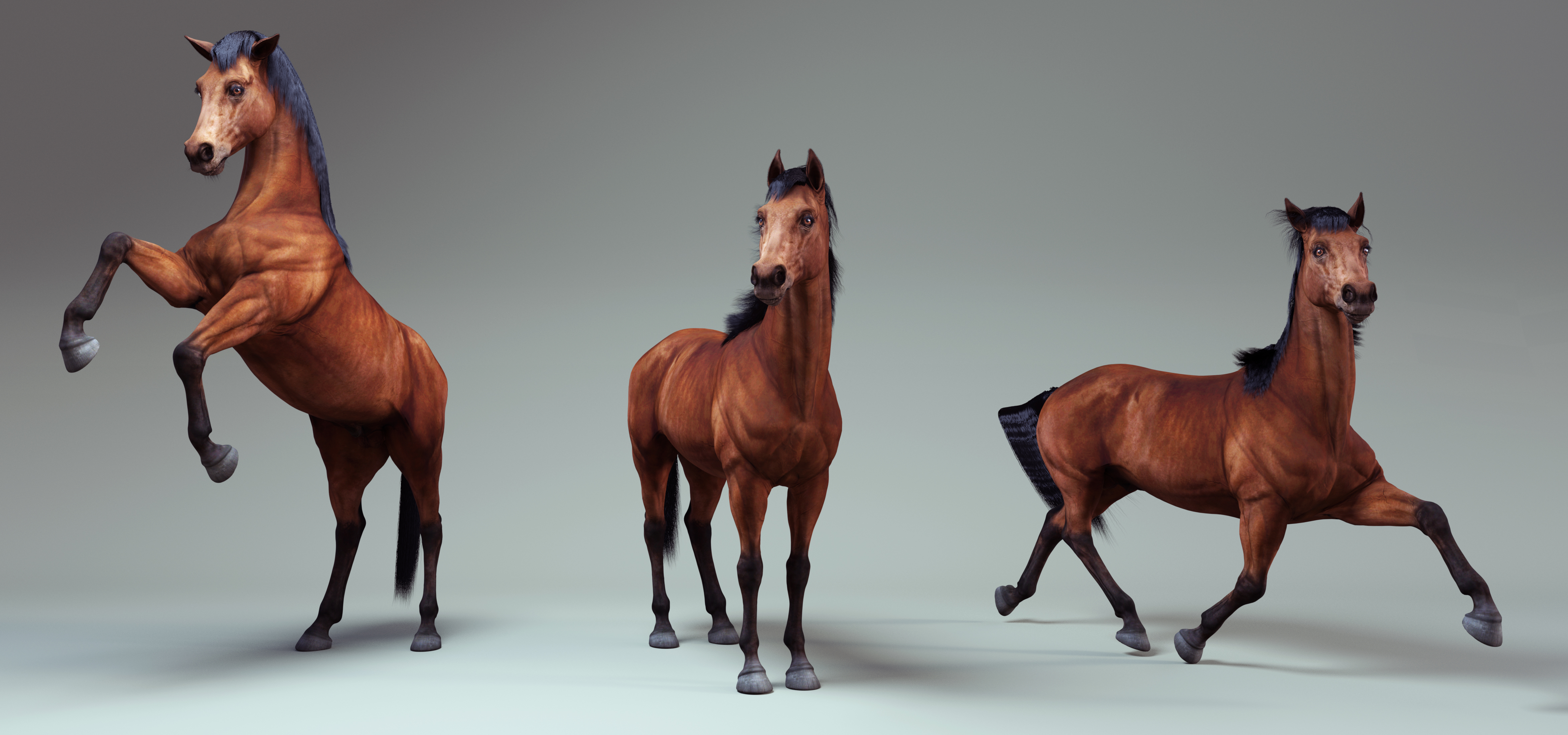 Mighty Stallion Poses for Daz Horse 3 | Daz 3D