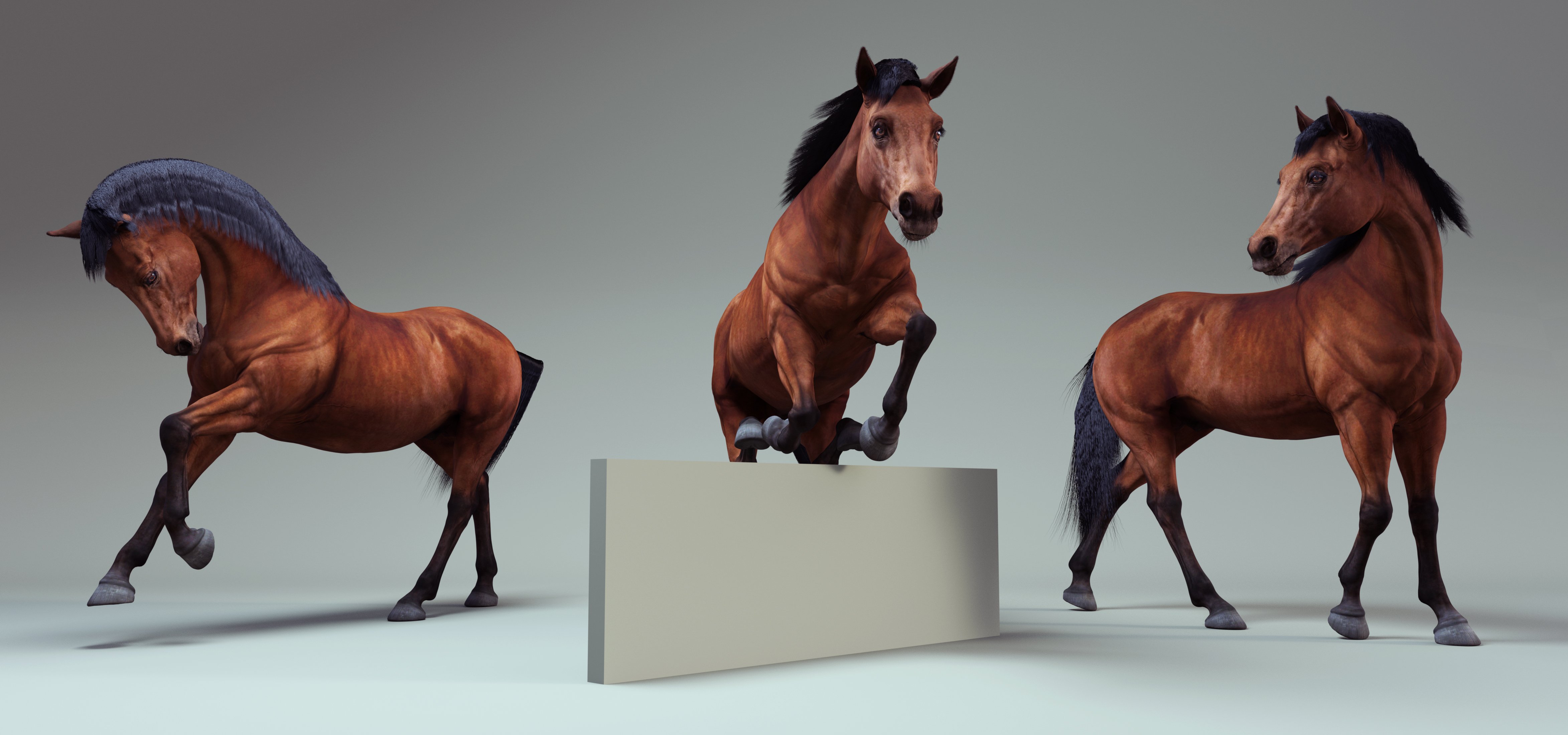 Mighty Stallion Poses for Daz Horse 3 | Daz 3D