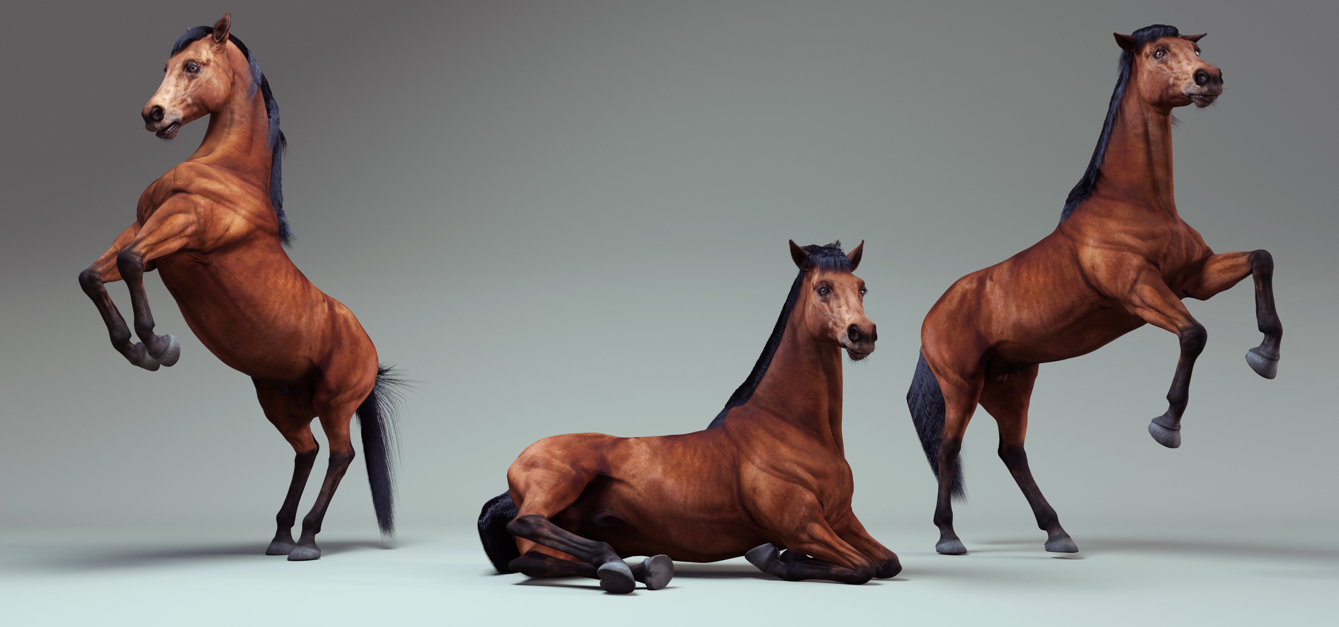 Mighty Stallion Poses for Daz Horse 3 | Daz 3D