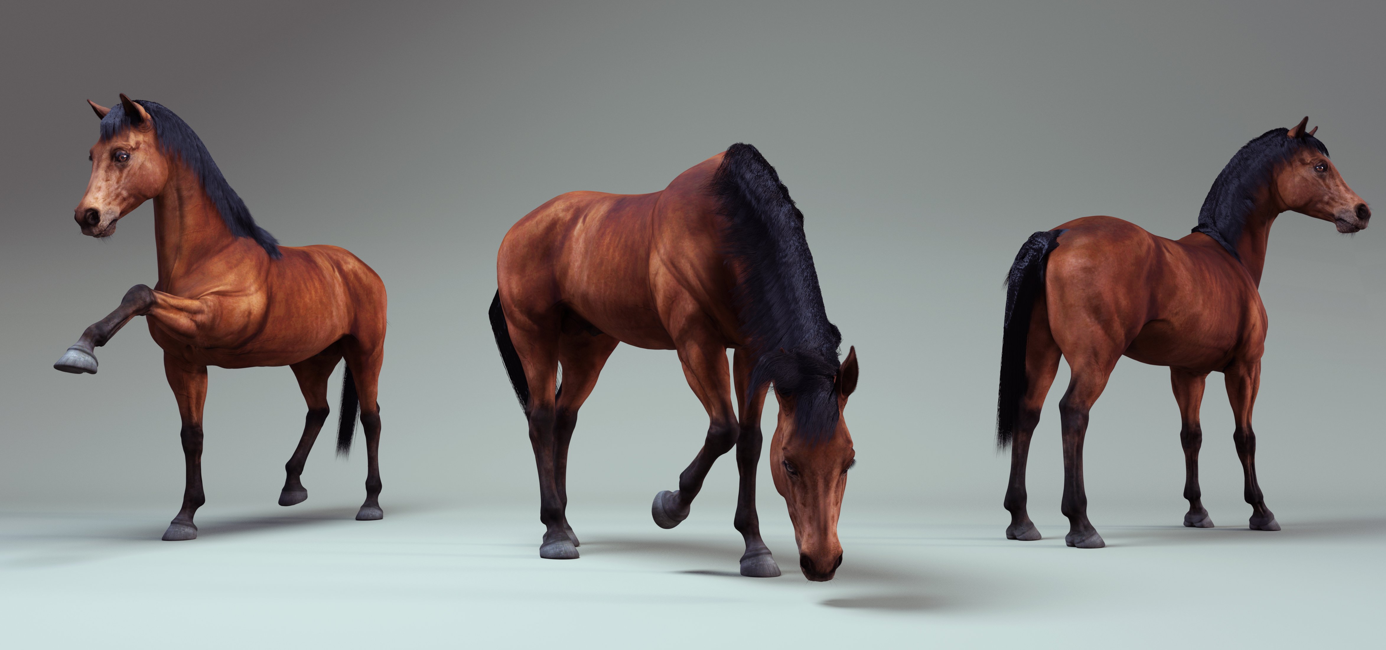 Mighty Stallion Poses for Daz Horse 3 | Daz 3D