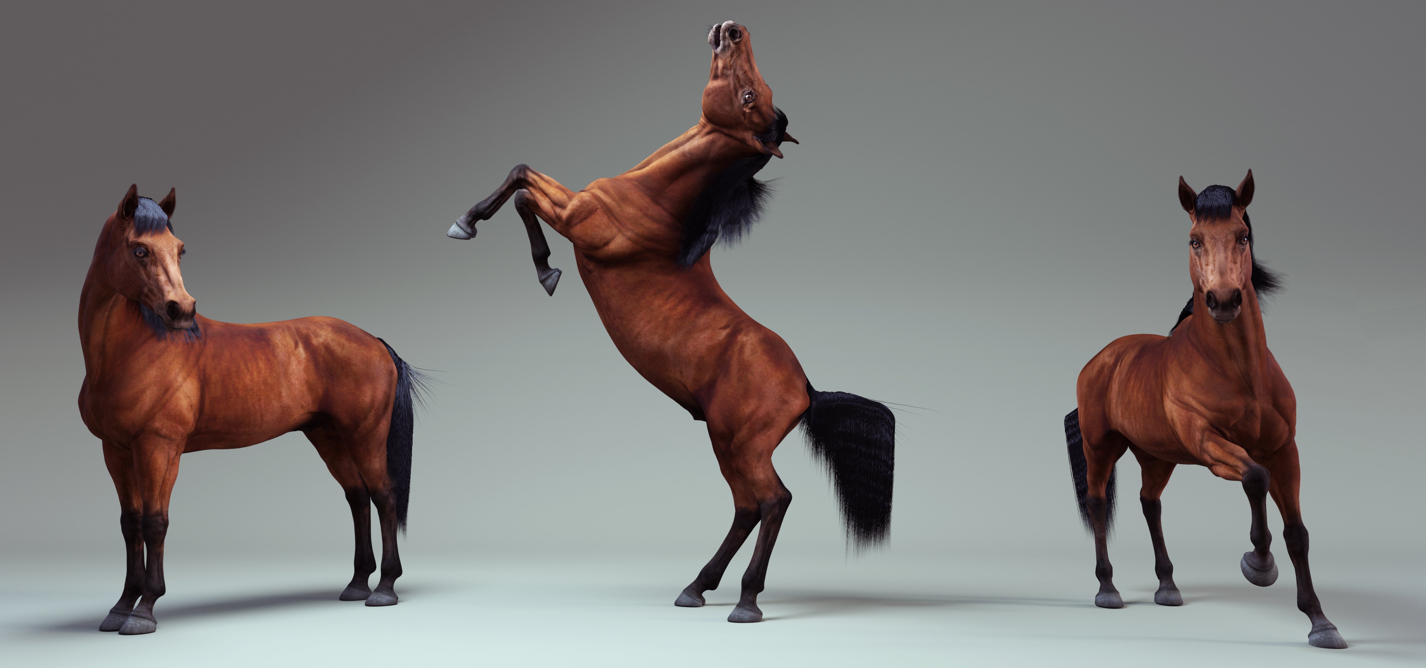 Mighty Stallion Poses for Daz Horse 3 | Daz 3D